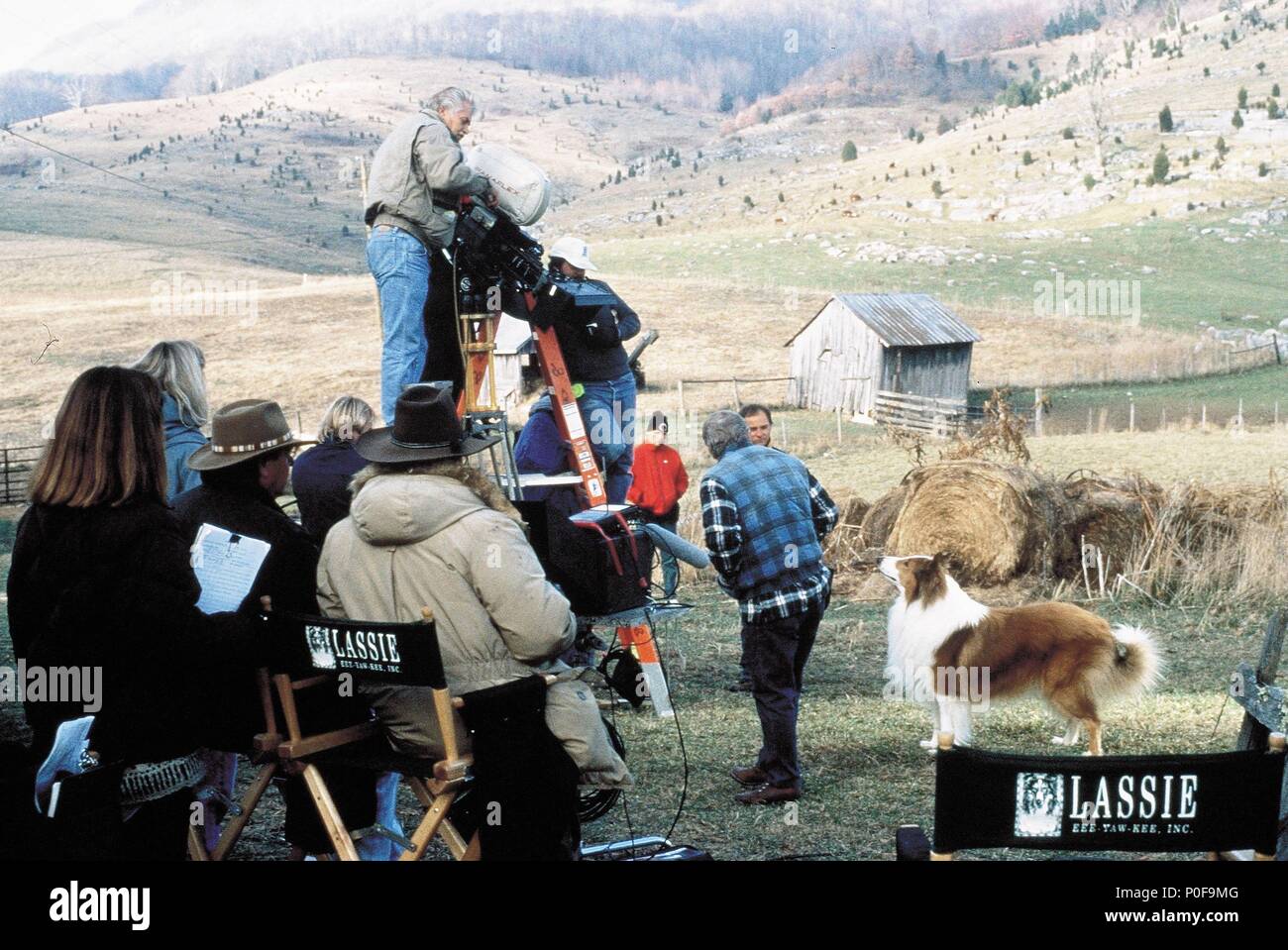 Lassie dog film hi-res stock photography and images - Alamy
