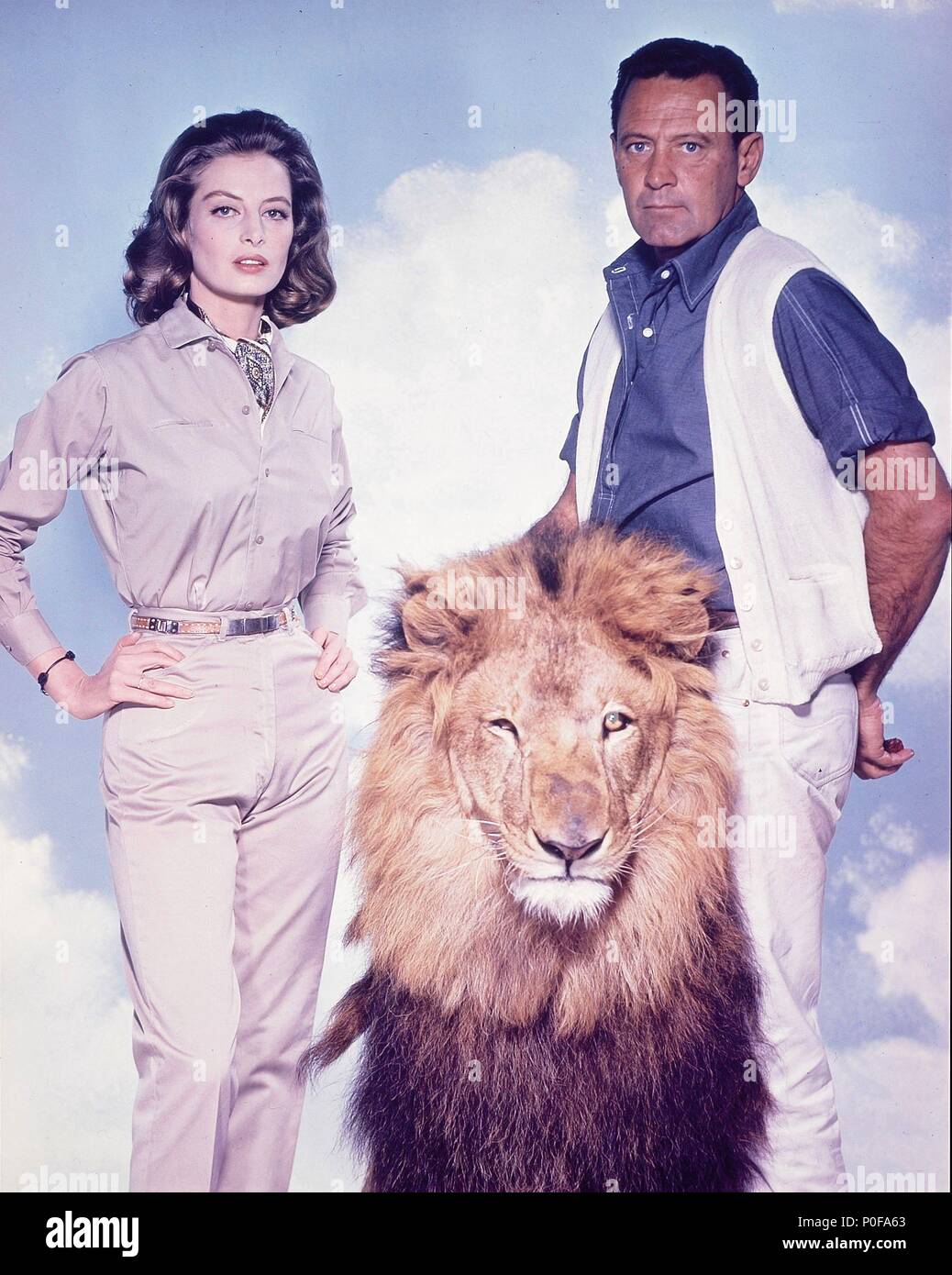 Original Film Title: THE LION. English Title: THE LION. Film Director ...