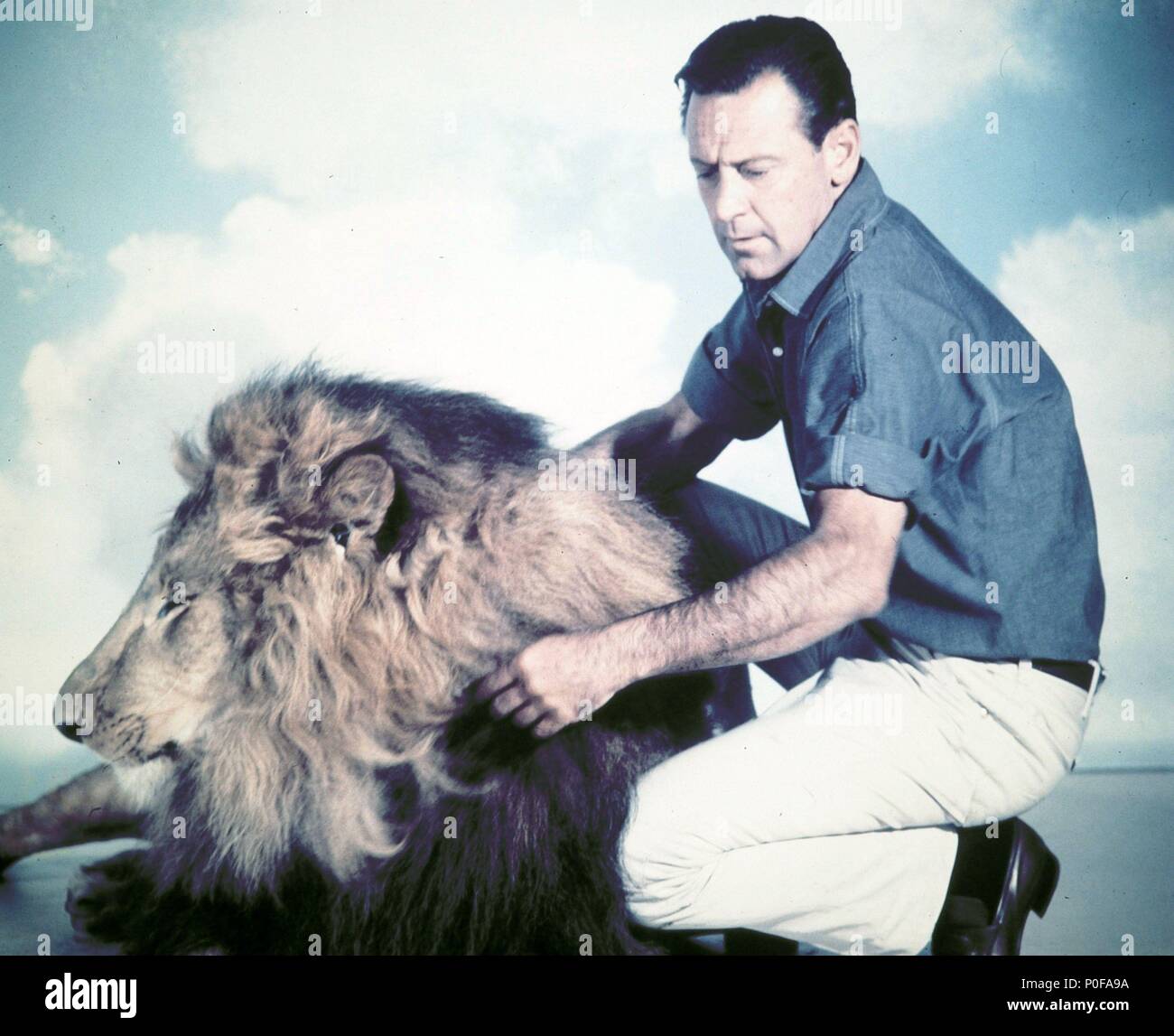 Original Film Title: THE LION. English Title: THE LION. Film Director ...