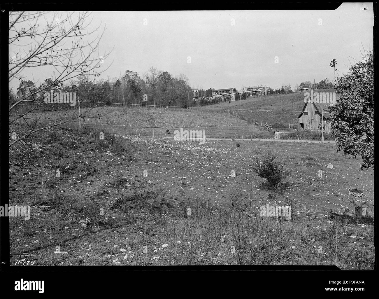View of more farm land purchased by the TVA. This land will be used as ...