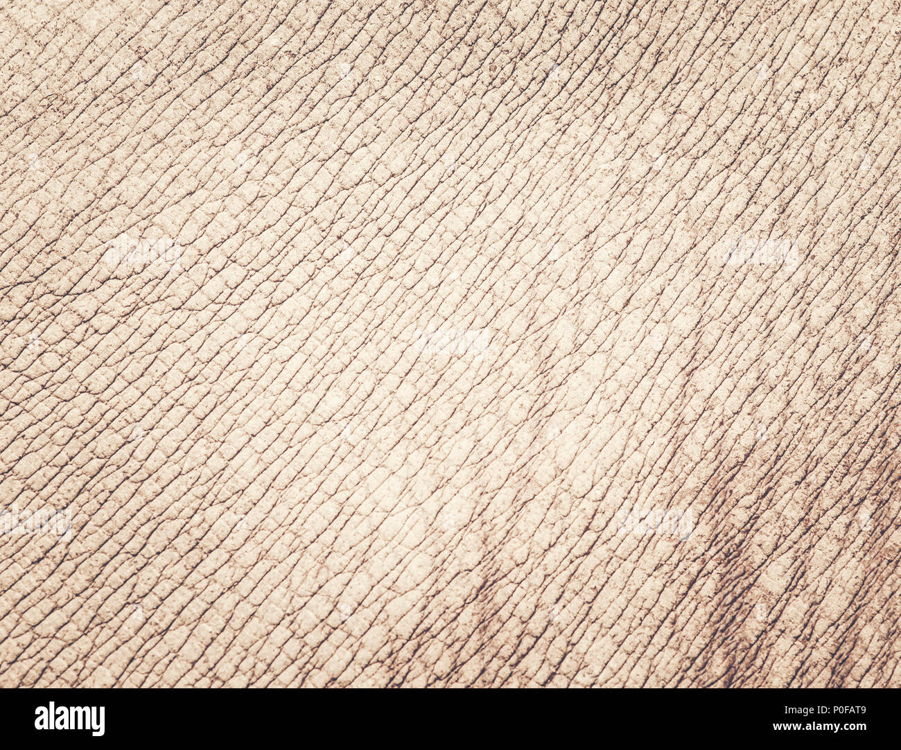 Rhino skin texture background Stock Photo - Alamy