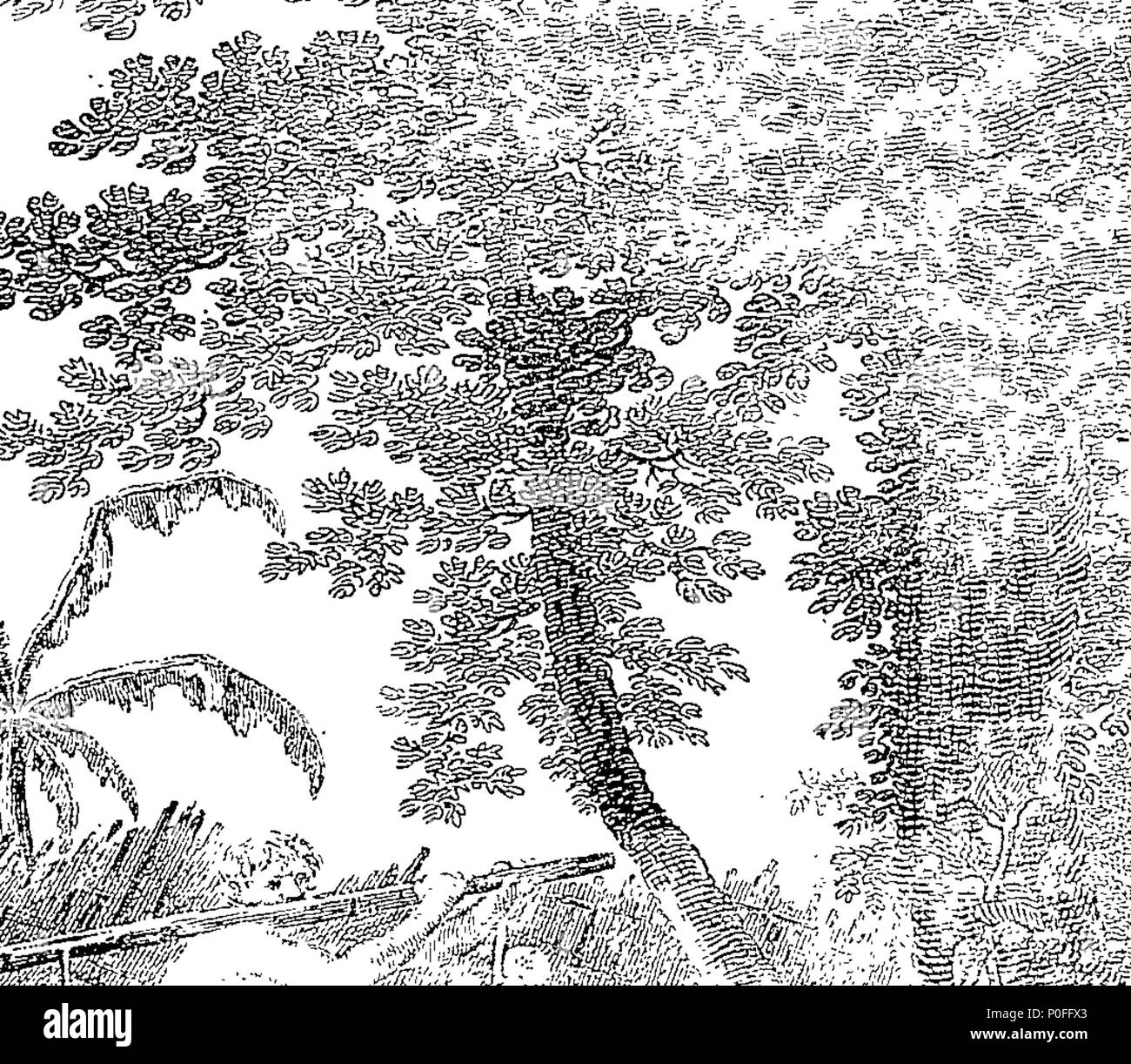 Hms resolution captain cook hi-res stock photography and images - Alamy