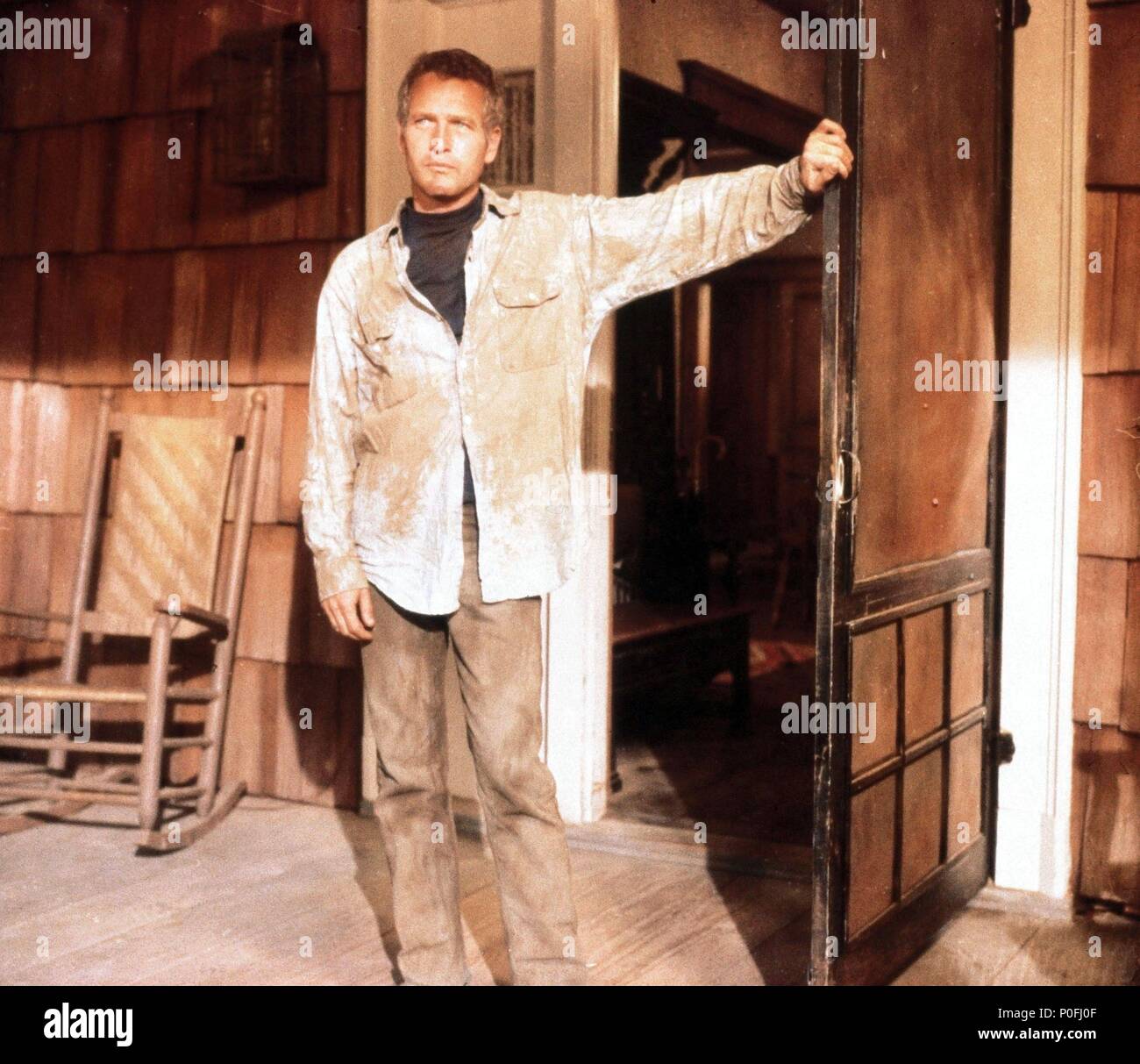 Original Film Title: COOL HAND LUKE. English Title: COOL HAND LUKE ...