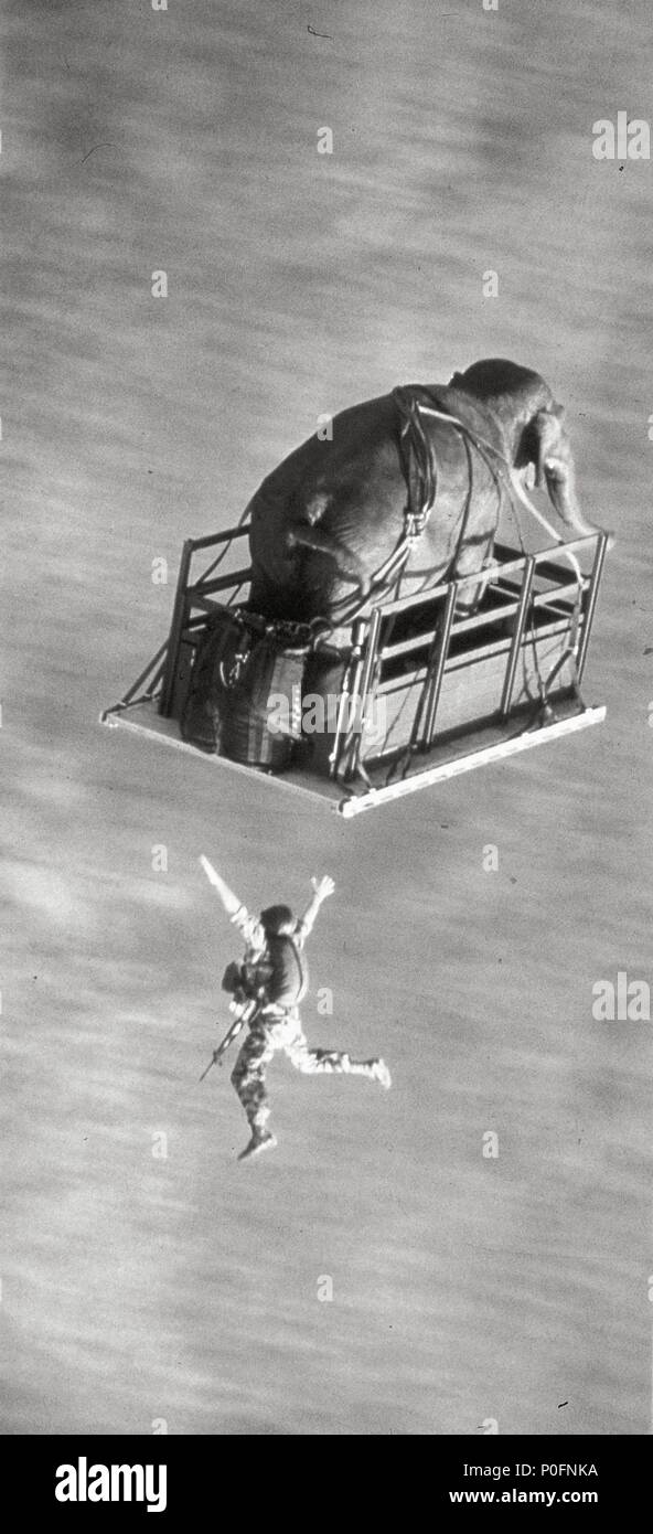 Dumbo drop hi-res stock photography and images - Alamy