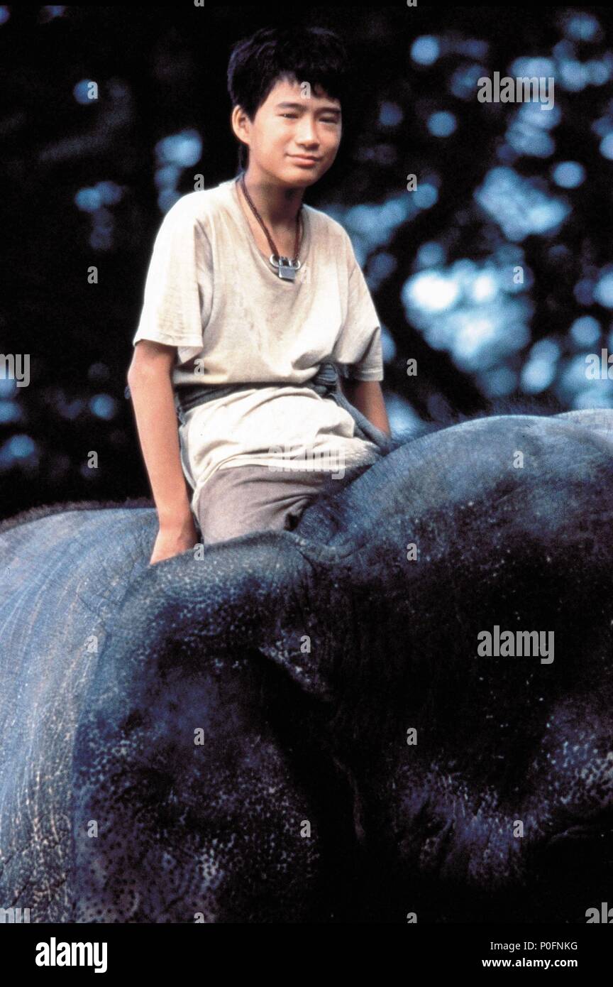 Original Film Title: OPERATION DUMBO DROP. English Title: OPERATION ...