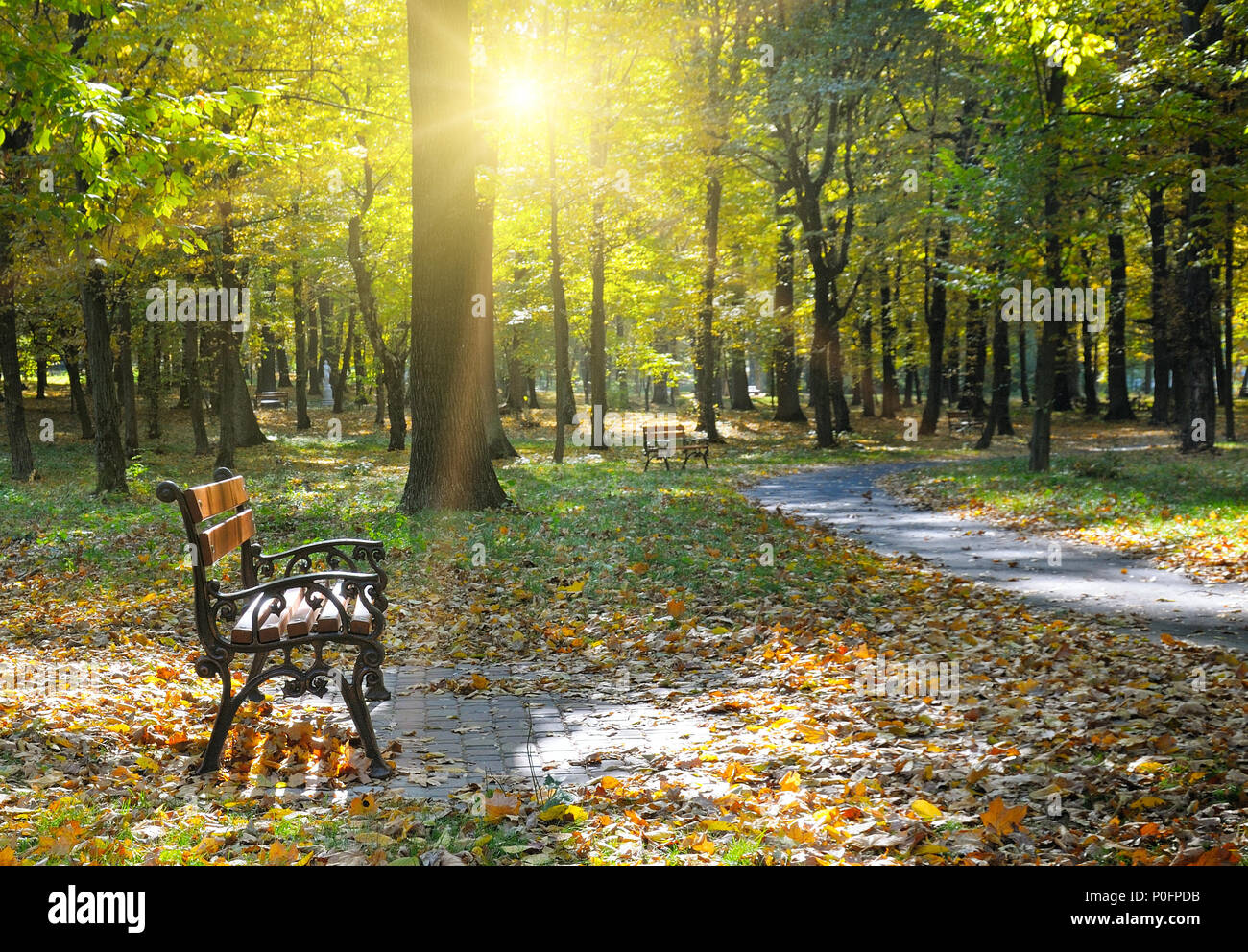 beautiful autumn park with paths and benches Stock Photo - Alamy