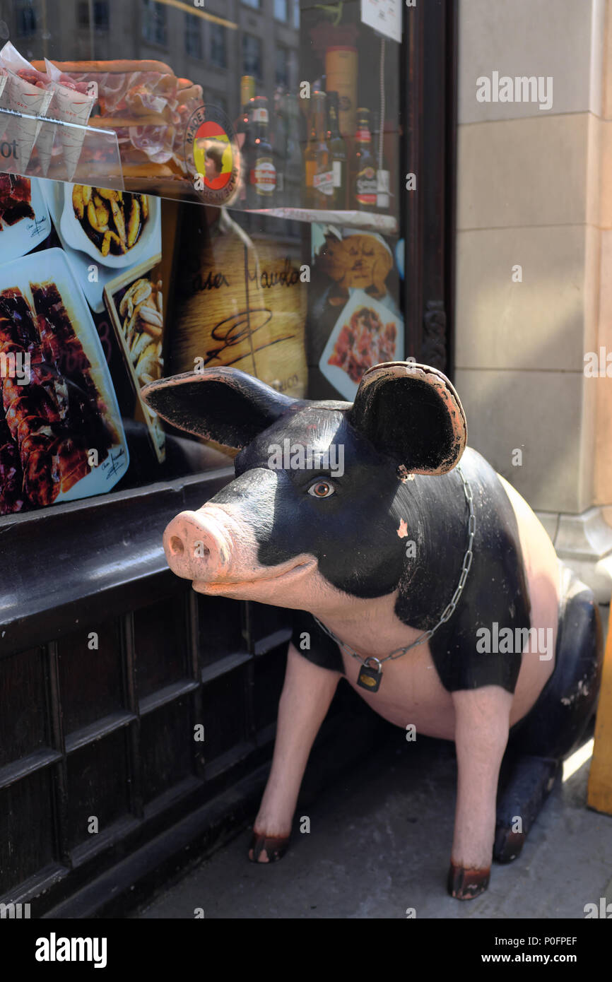 Pig outside hi-res stock photography and images - Alamy