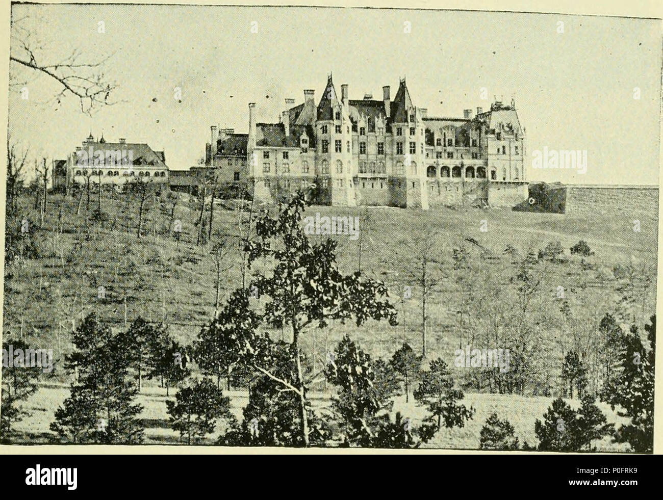 "The standard guide" (1896 Stock Photo - Alamy