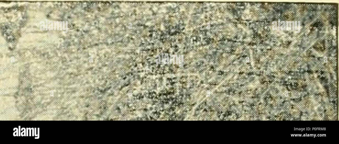 "The standard guide" (1896 Stock Photo - Alamy