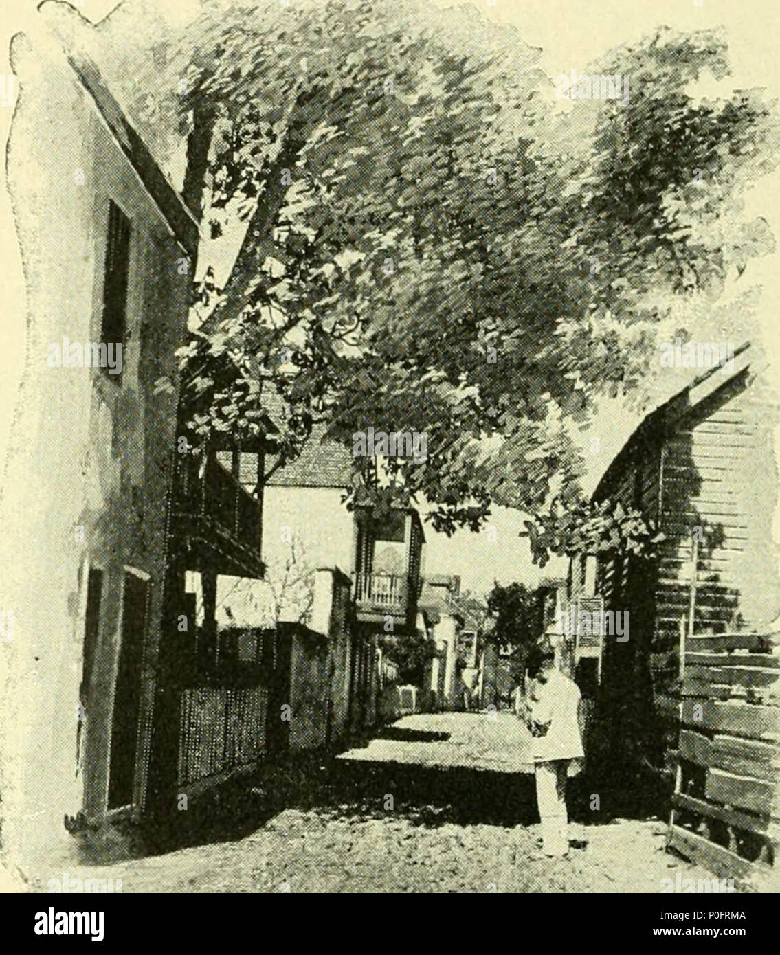 "The standard guide" (1896 Stock Photo - Alamy