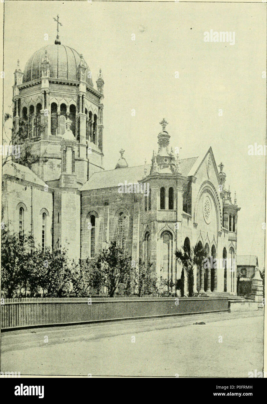 "The standard guide" (1896 Stock Photo - Alamy