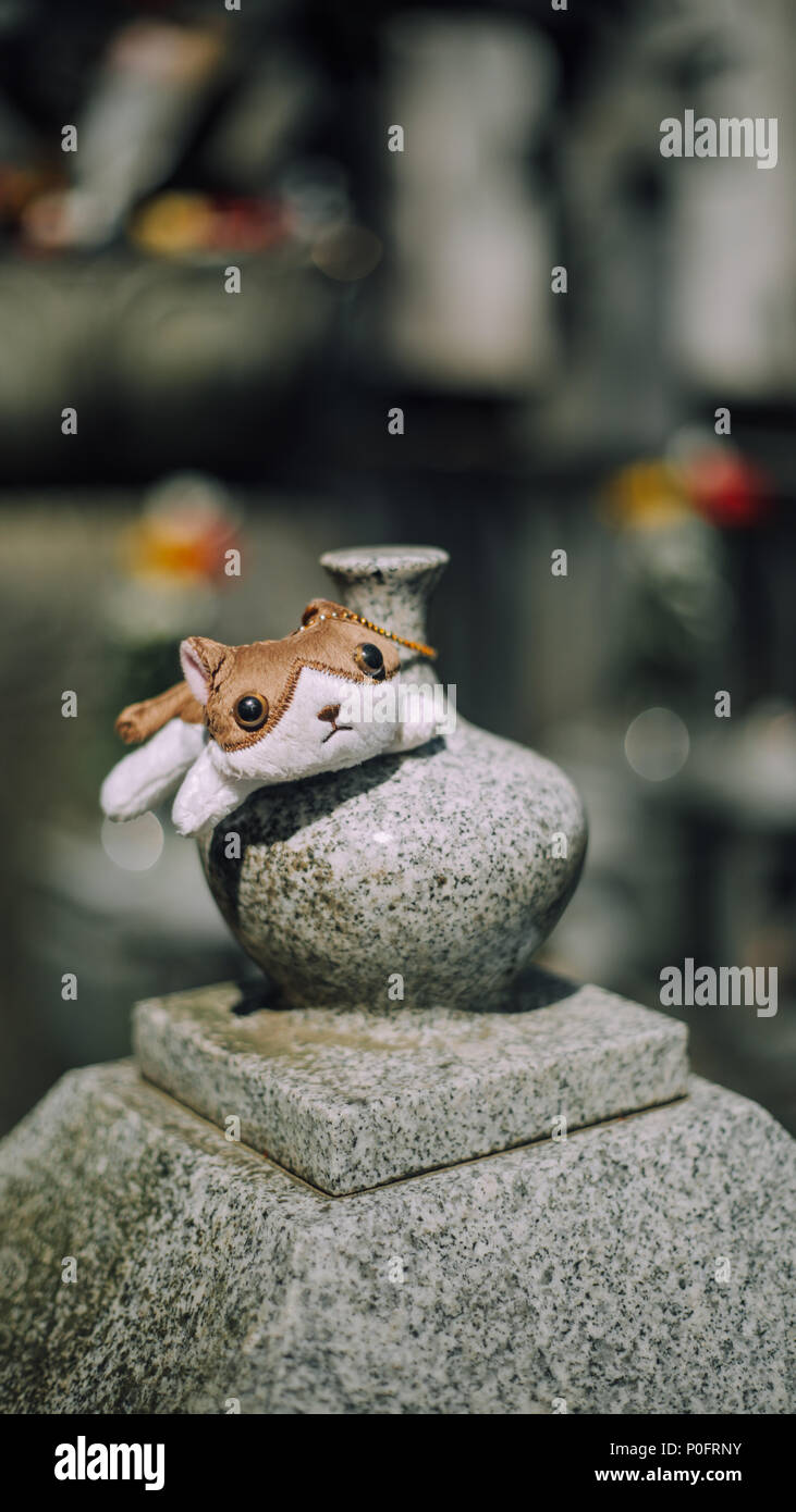 Remembering the lost hi-res stock photography and images - Alamy