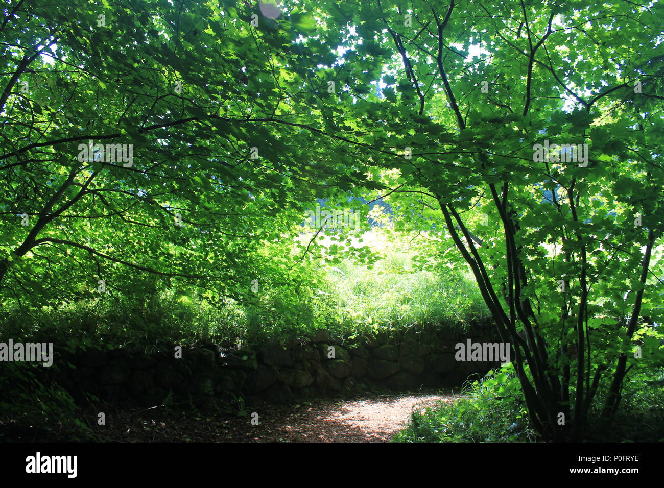 Hidden path in a Reserve Stock Photo - Alamy