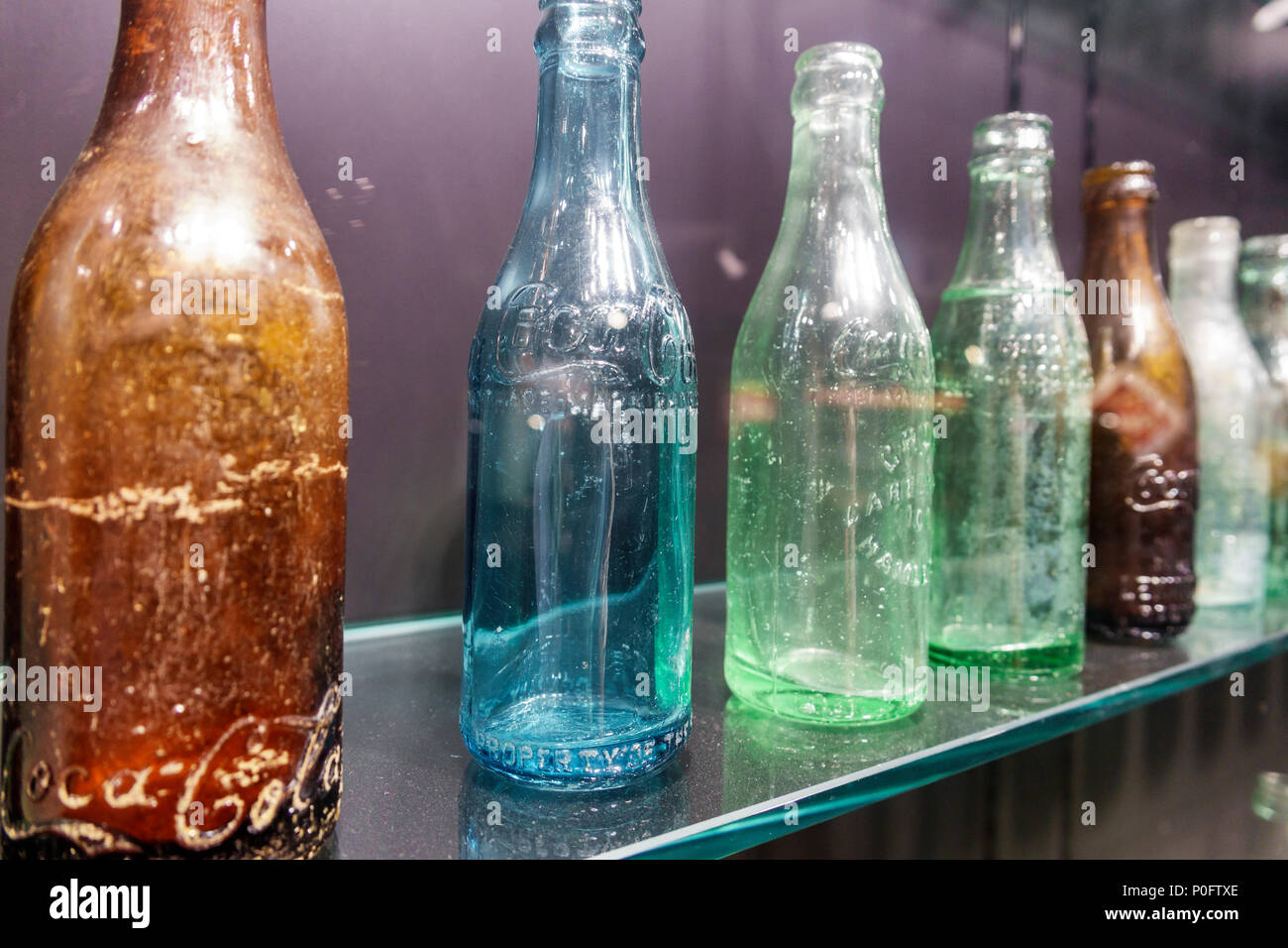 Daytona Beach Florida,Museum of Arts & Sciences,interior inside,Root ...