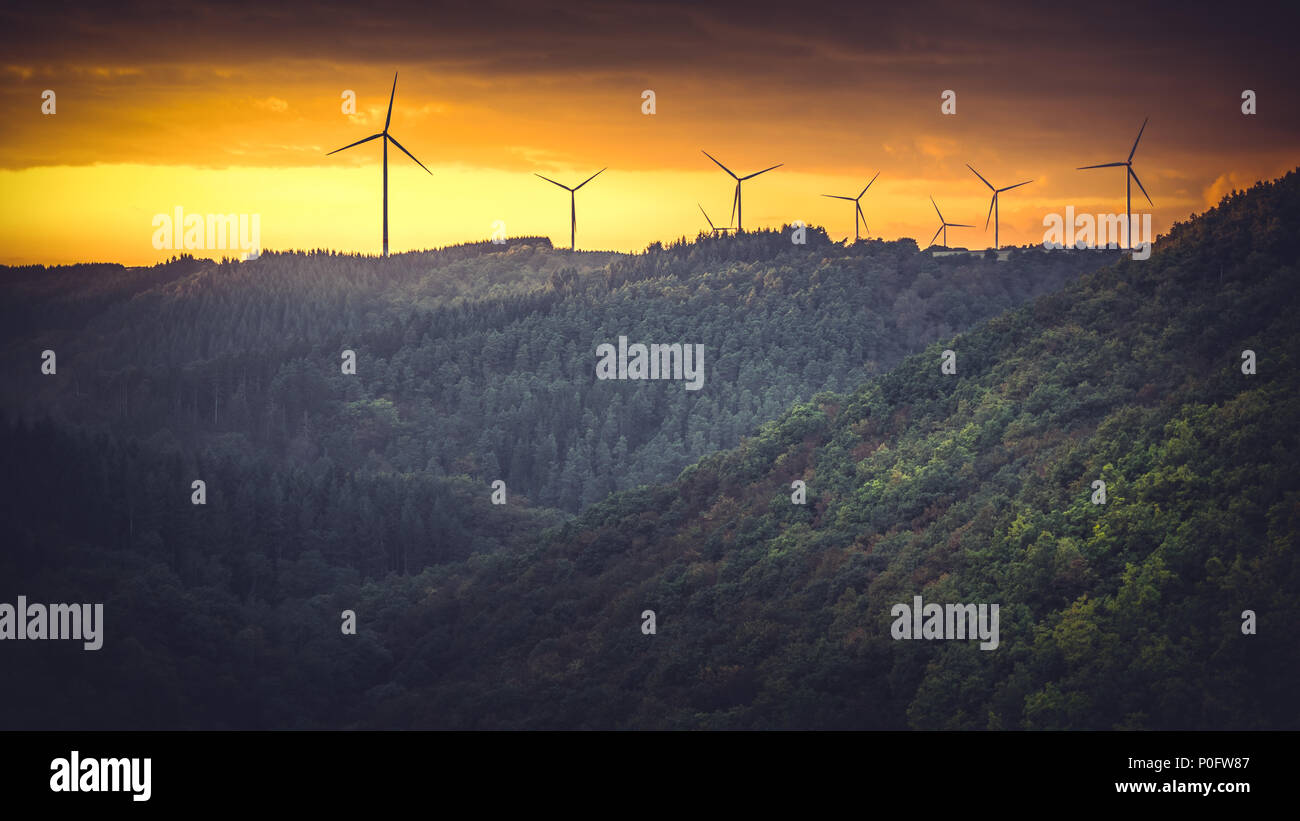 Fire red dawn sky forest hi-res stock photography and images - Alamy