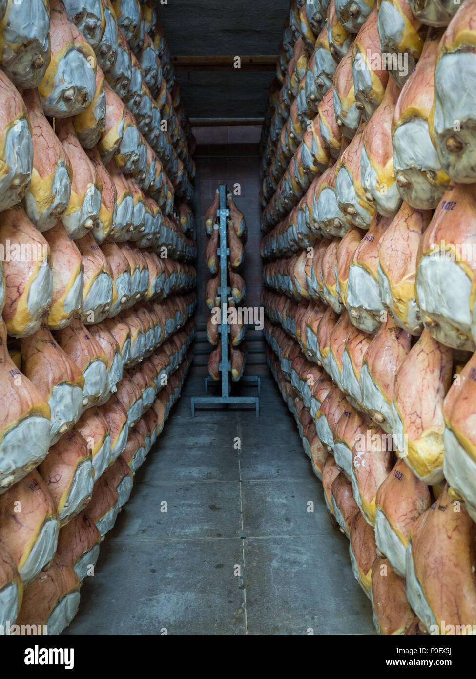 Thighs of ham during the curing process hanging in a cellar Stock Photo ...