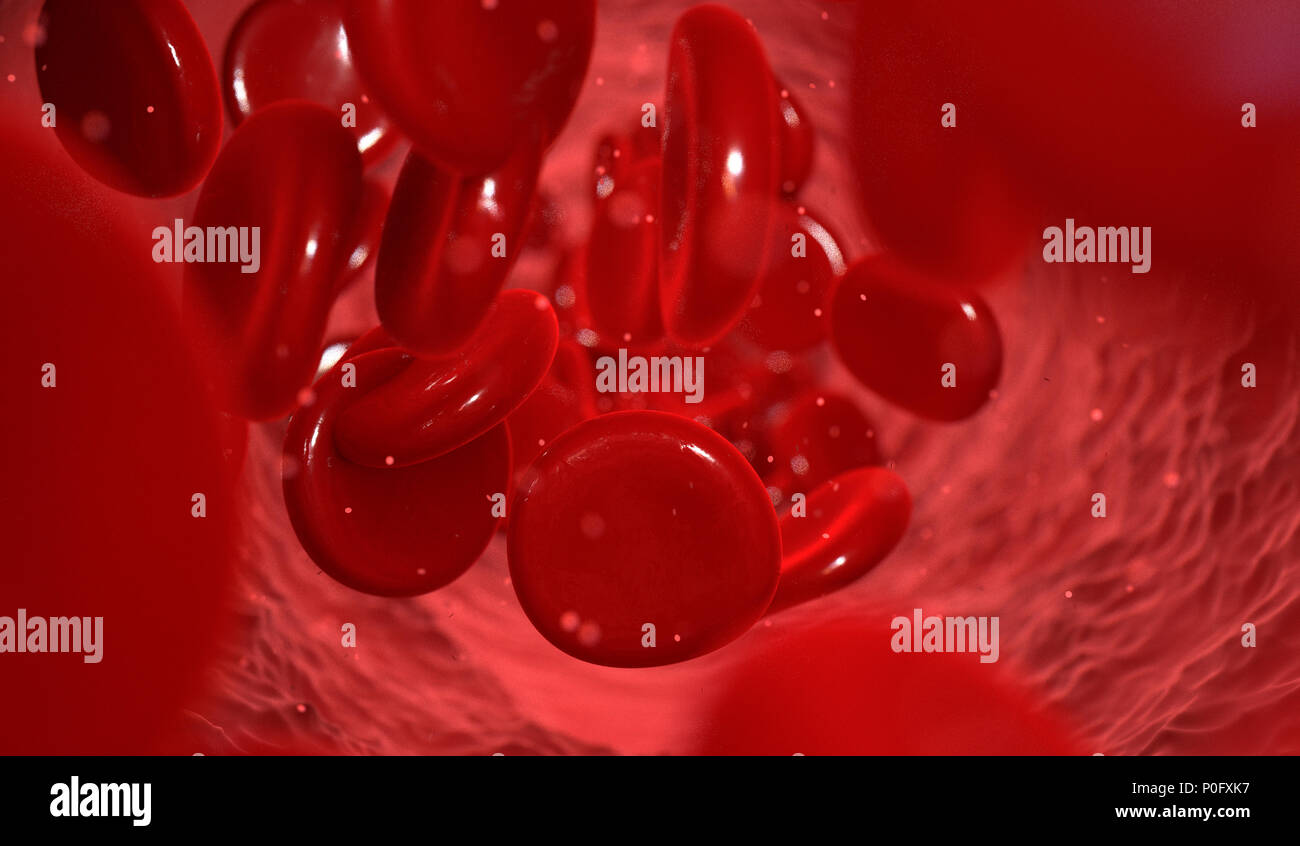 Blood vessel artery vein hi-res stock photography and images - Alamy