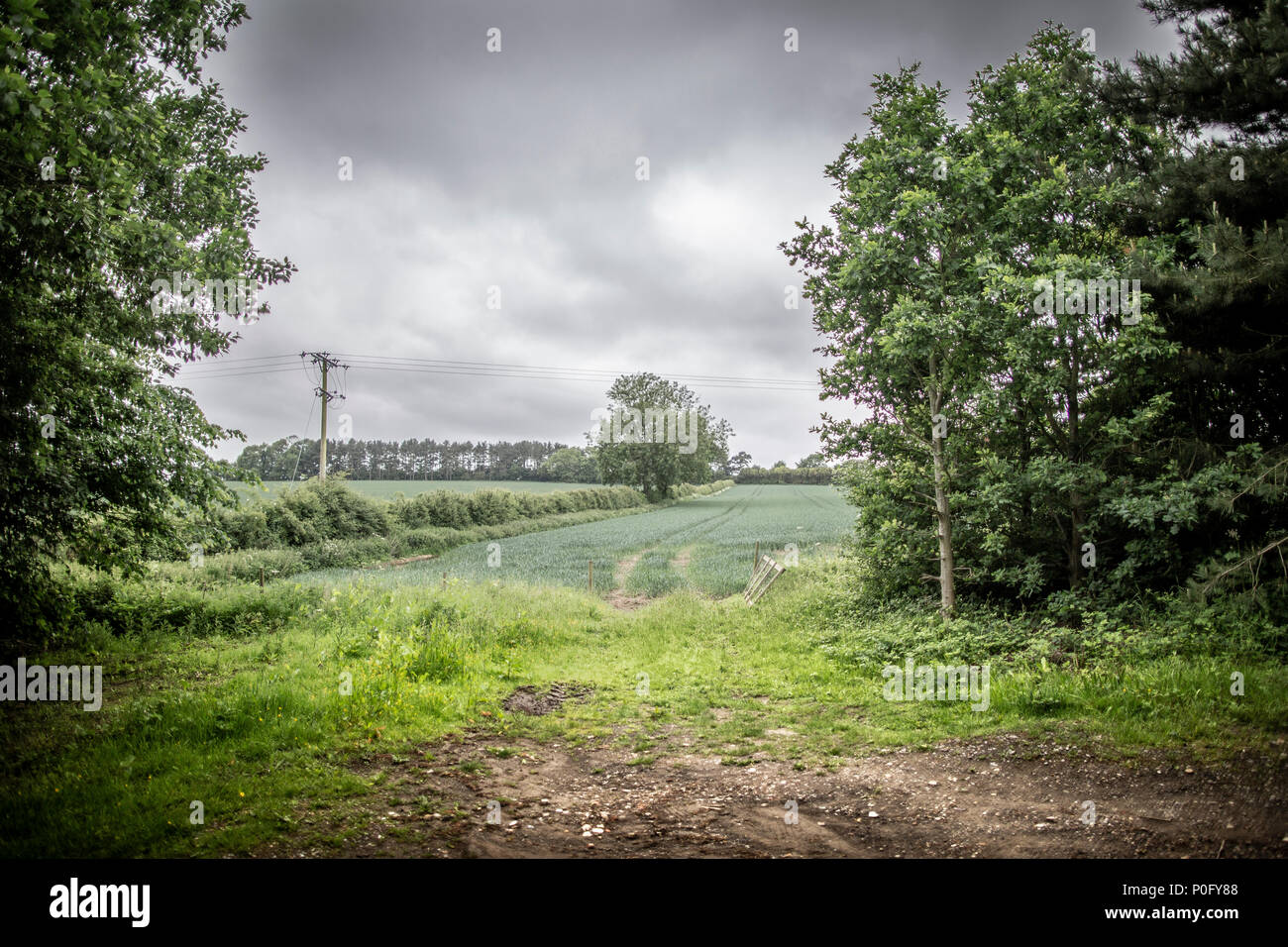 Field louth hi-res stock photography and images - Alamy