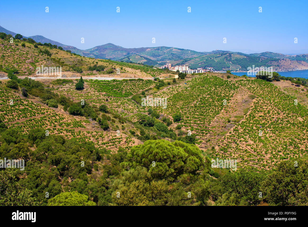 Rocky shore in marine reserve of Cerbere Banyuls, Mediterranean sea ...