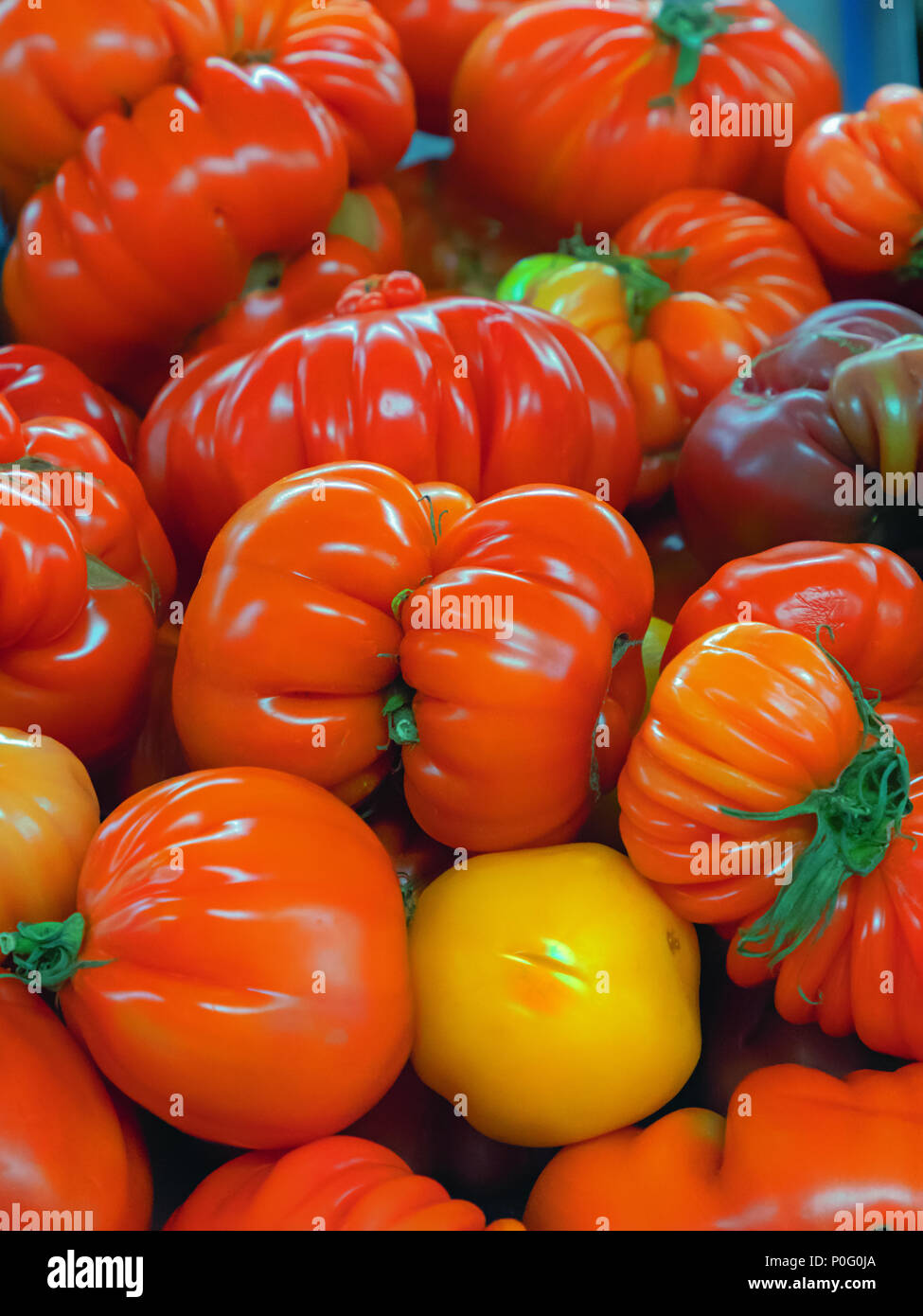 Bushel of tomatoes hi-res stock photography and images - Alamy