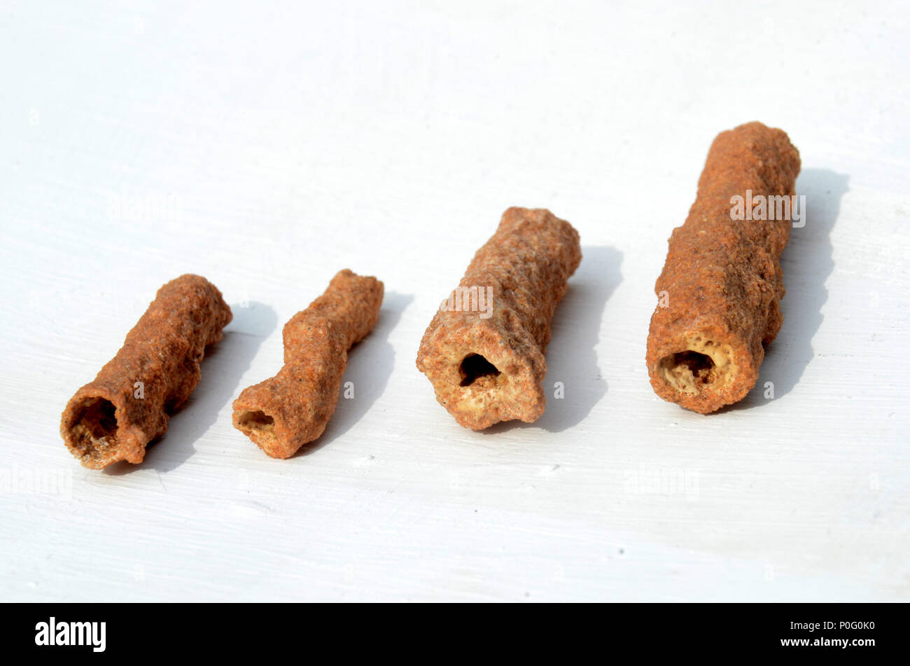 Fossilized lightening; small pieces of sand tubes caused by lightening ...