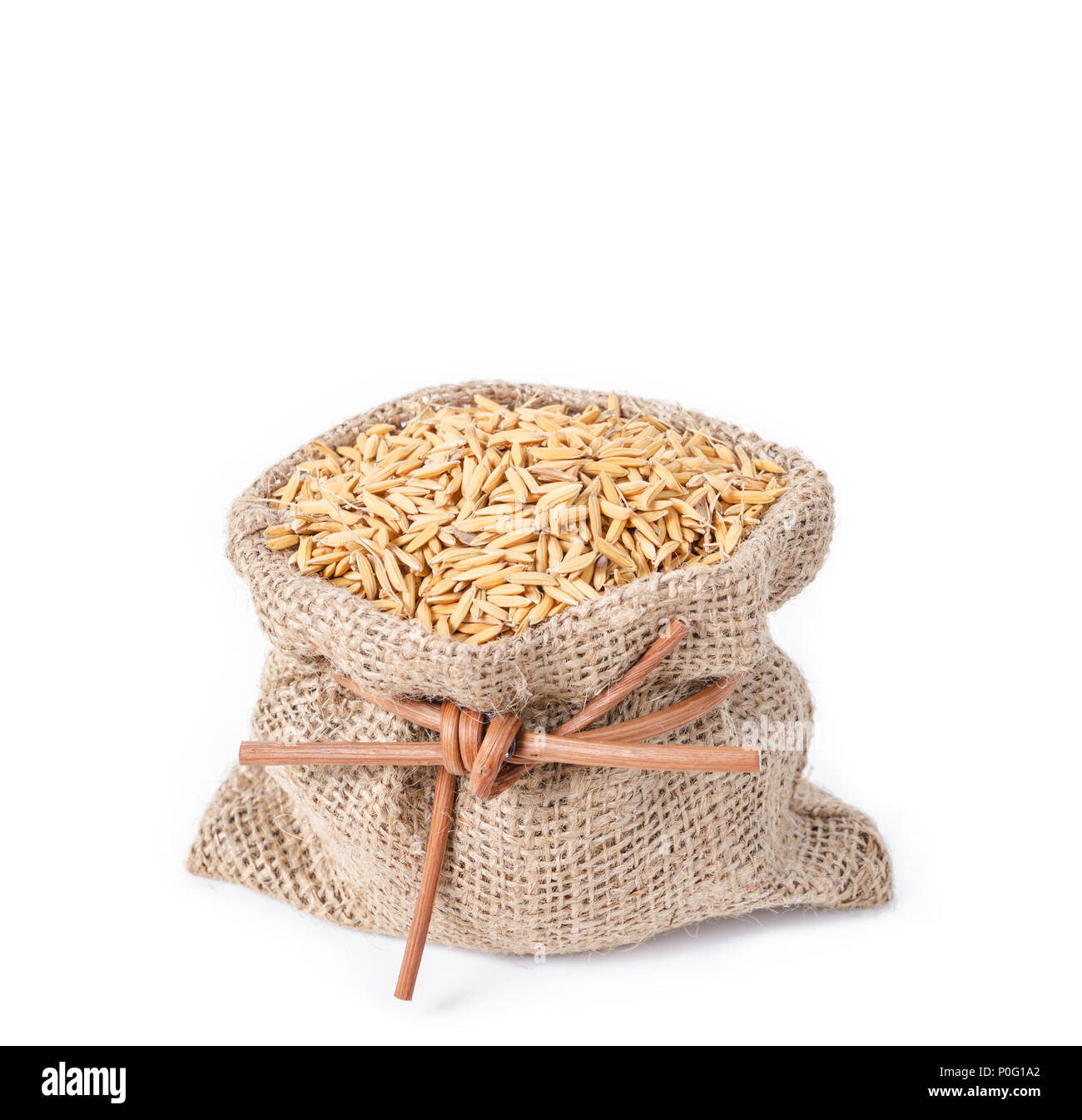 Gold paddy rice on white hi-res stock photography and images - Alamy