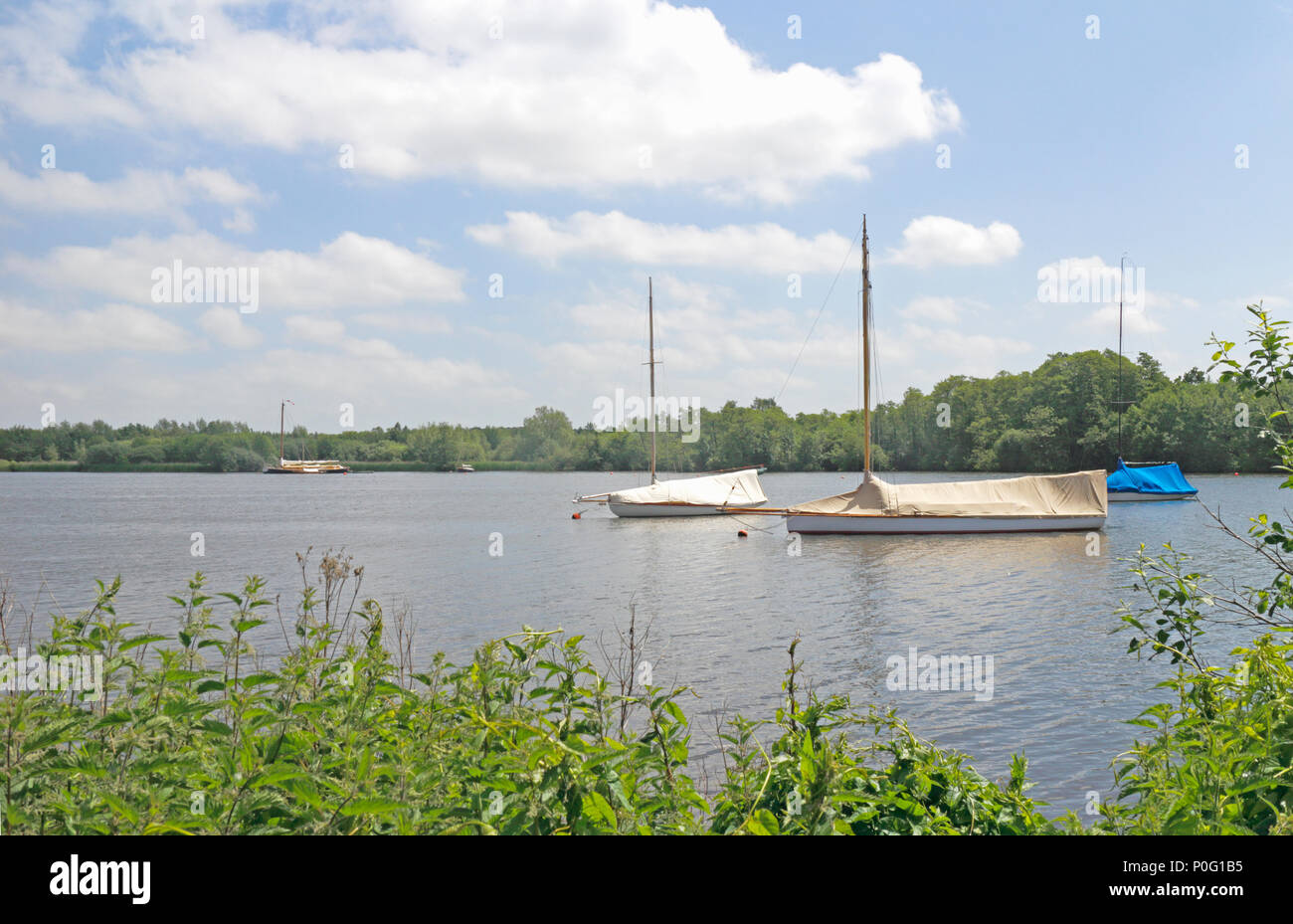 A view of Wroxham Broad on the Norfolk Broads at Wroxham, Norfolk ...