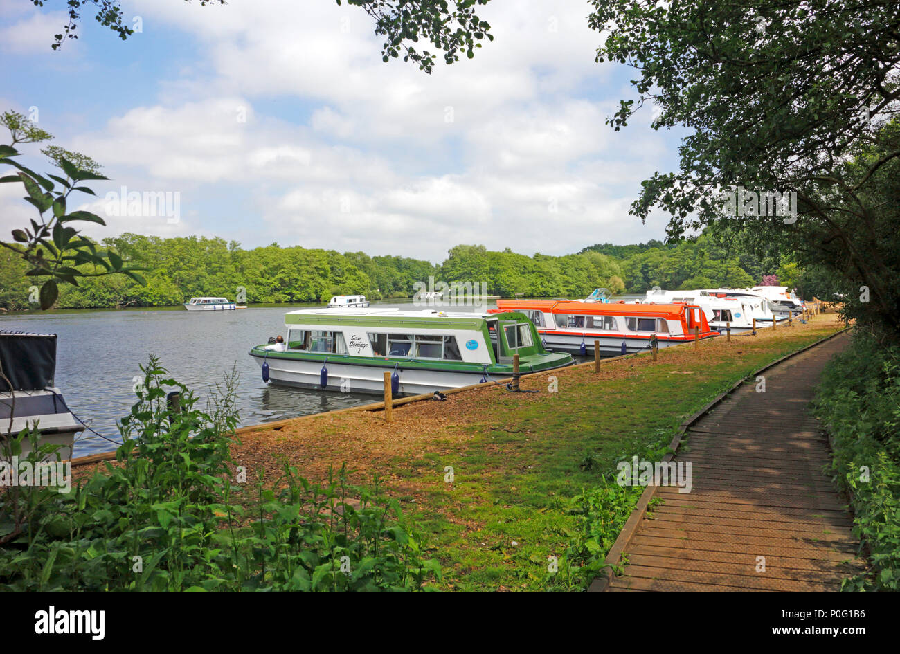 Broads cruisers moored at Salhouse Broad on the Norfolk Broads at ...