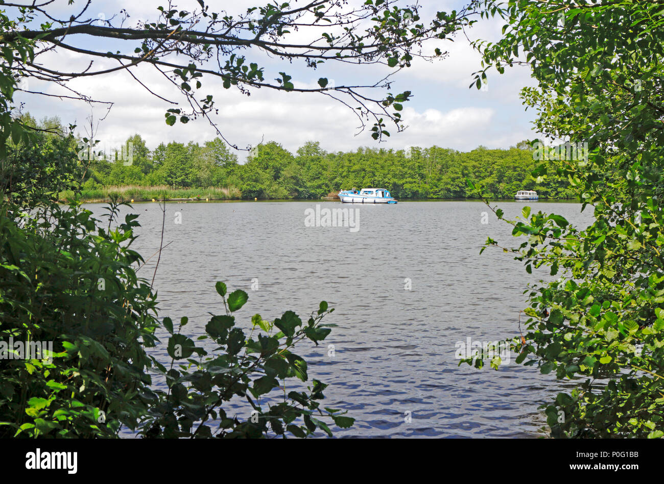 A view of Salhouse Broad from the south bank on the Norfolk Broads at ...