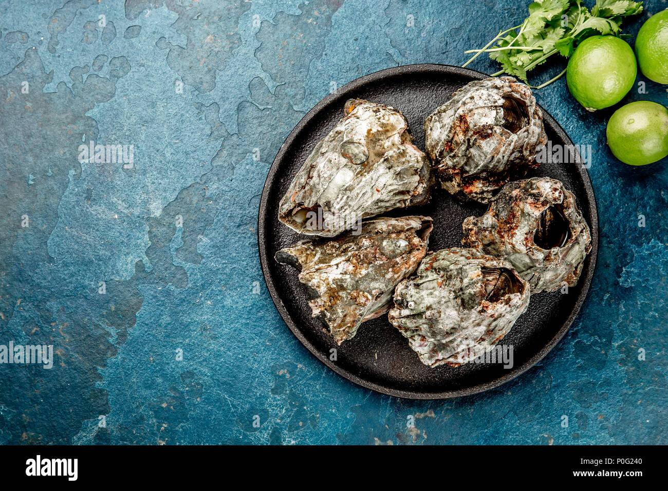 Pyura hi-res stock photography and images - Alamy