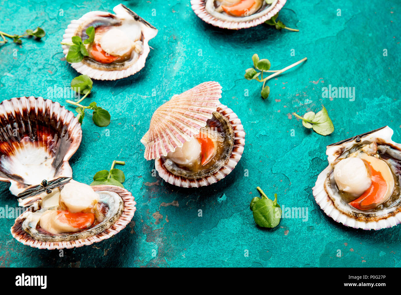 Raw opened shellfish scallops on turquoise background. Top view ...