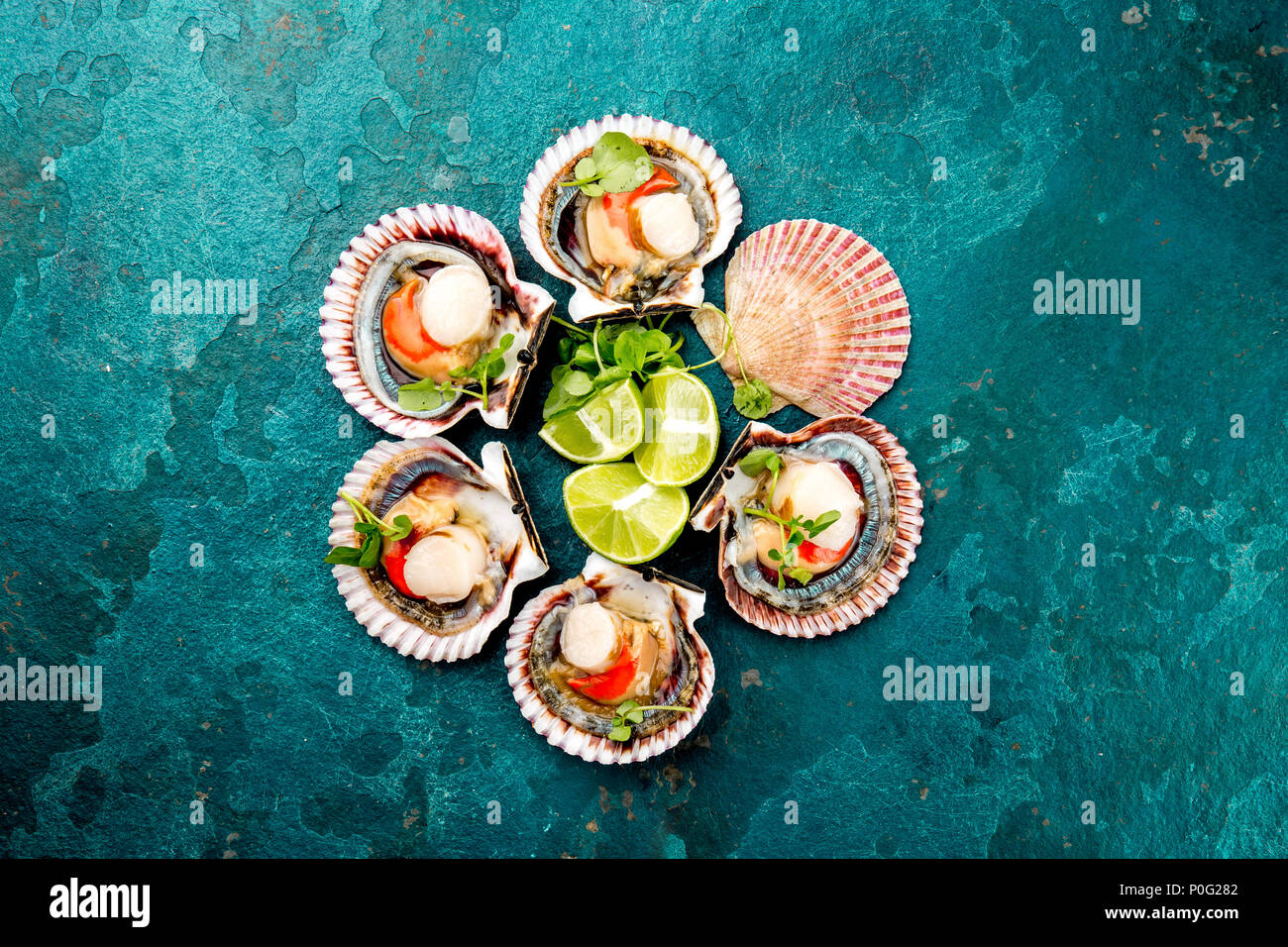 Raw opened shellfish scallops on turquoise background. Top view ...