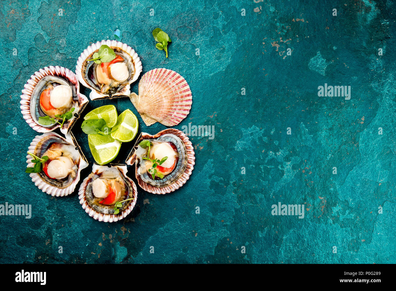 Raw opened shellfish scallops on turquoise background. Top view ...