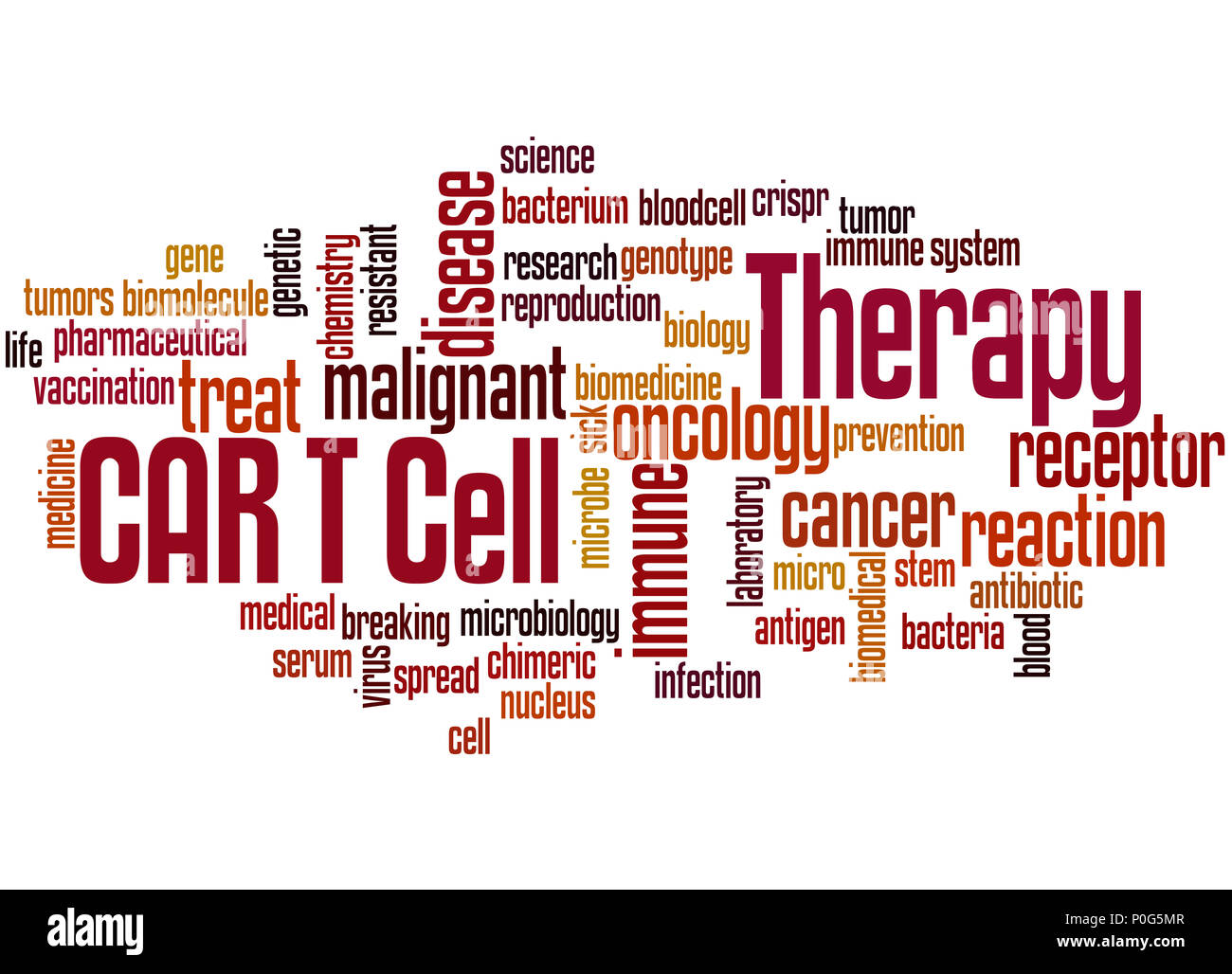 CAR T Cell Therapy word cloud concept on white background Stock Photo ...