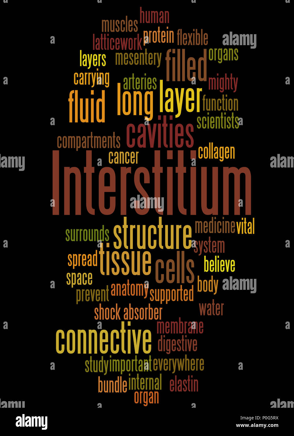 Interstitium (new organ discovered in human body) word cloud concept on ...