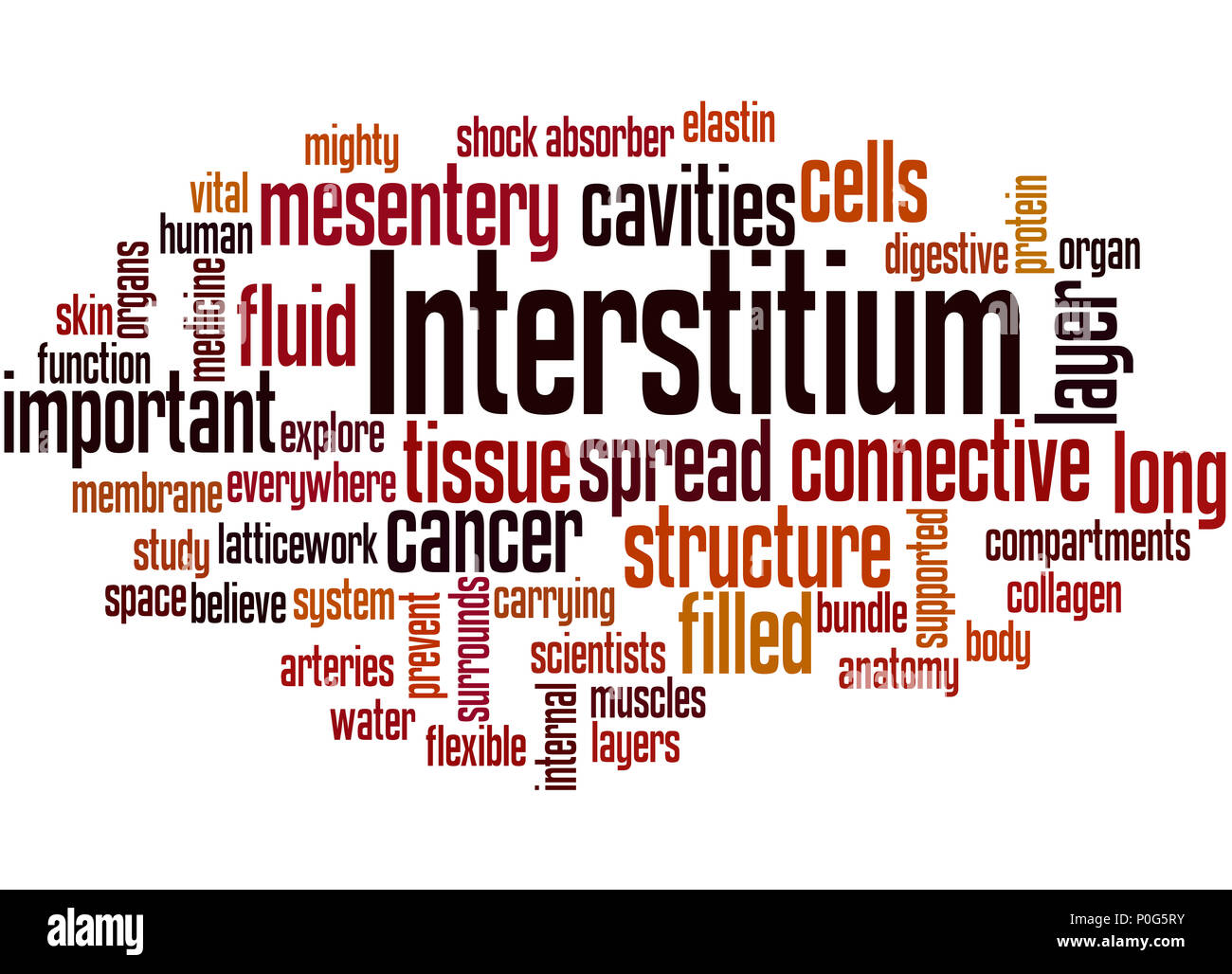 Interstitium (new organ discovered in human body) word cloud concept on ...
