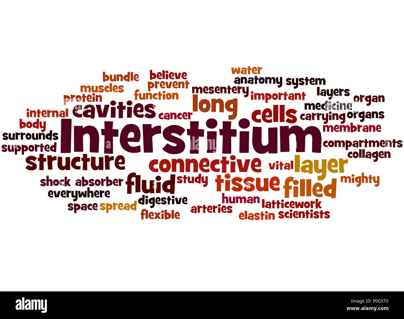 Interstitium (new organ discovered in human body) word cloud concept on ...