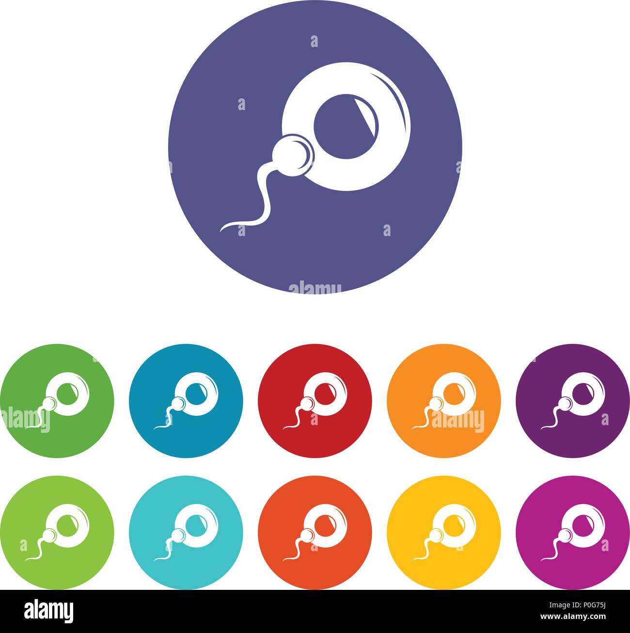 Fertilization egg icons set vector color Stock Vector Image & Art - Alamy