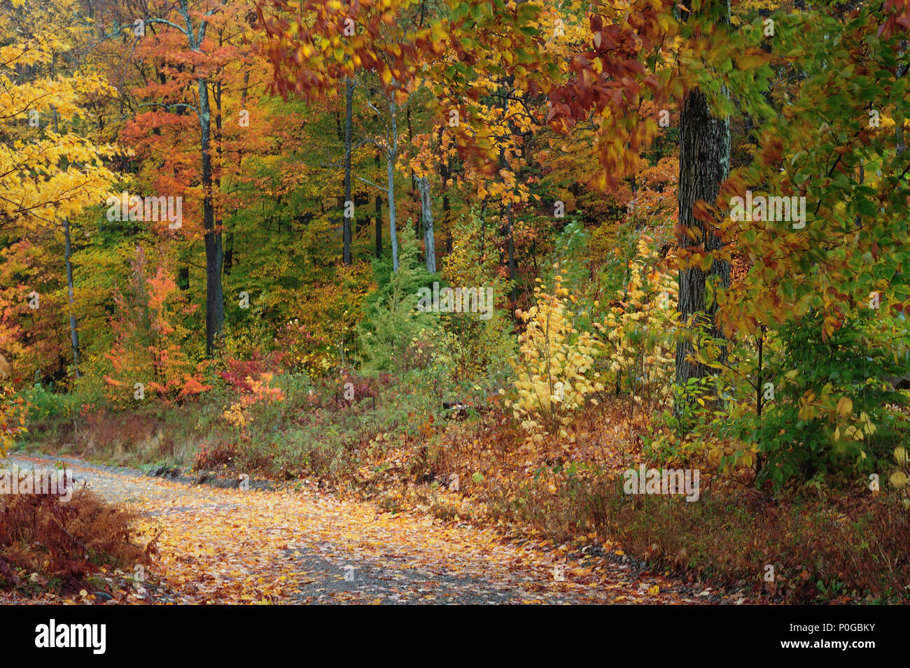 Fall colors on country road behind Dublin Town Cemetary Stock Photo - Alamy