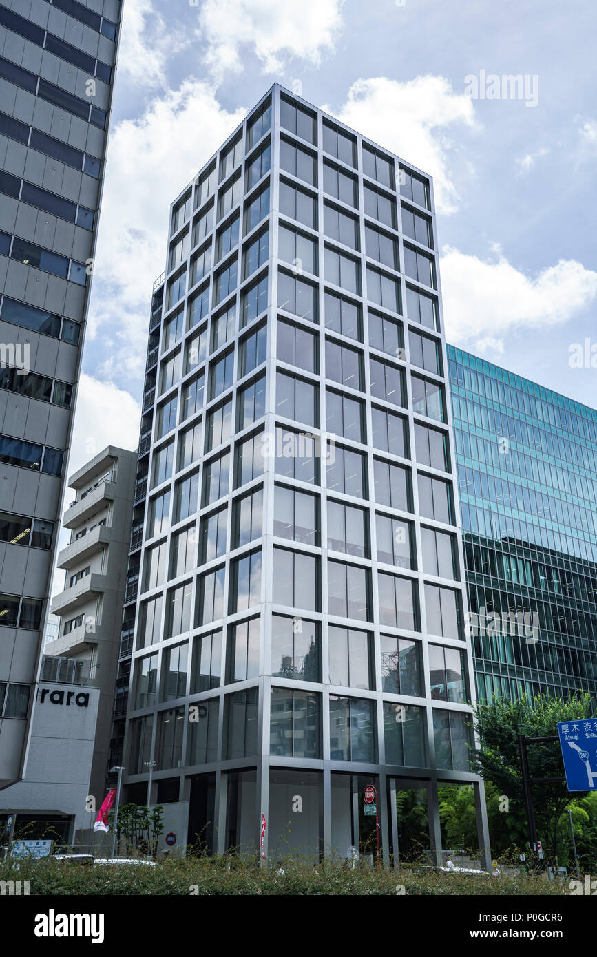 Japanese Architect