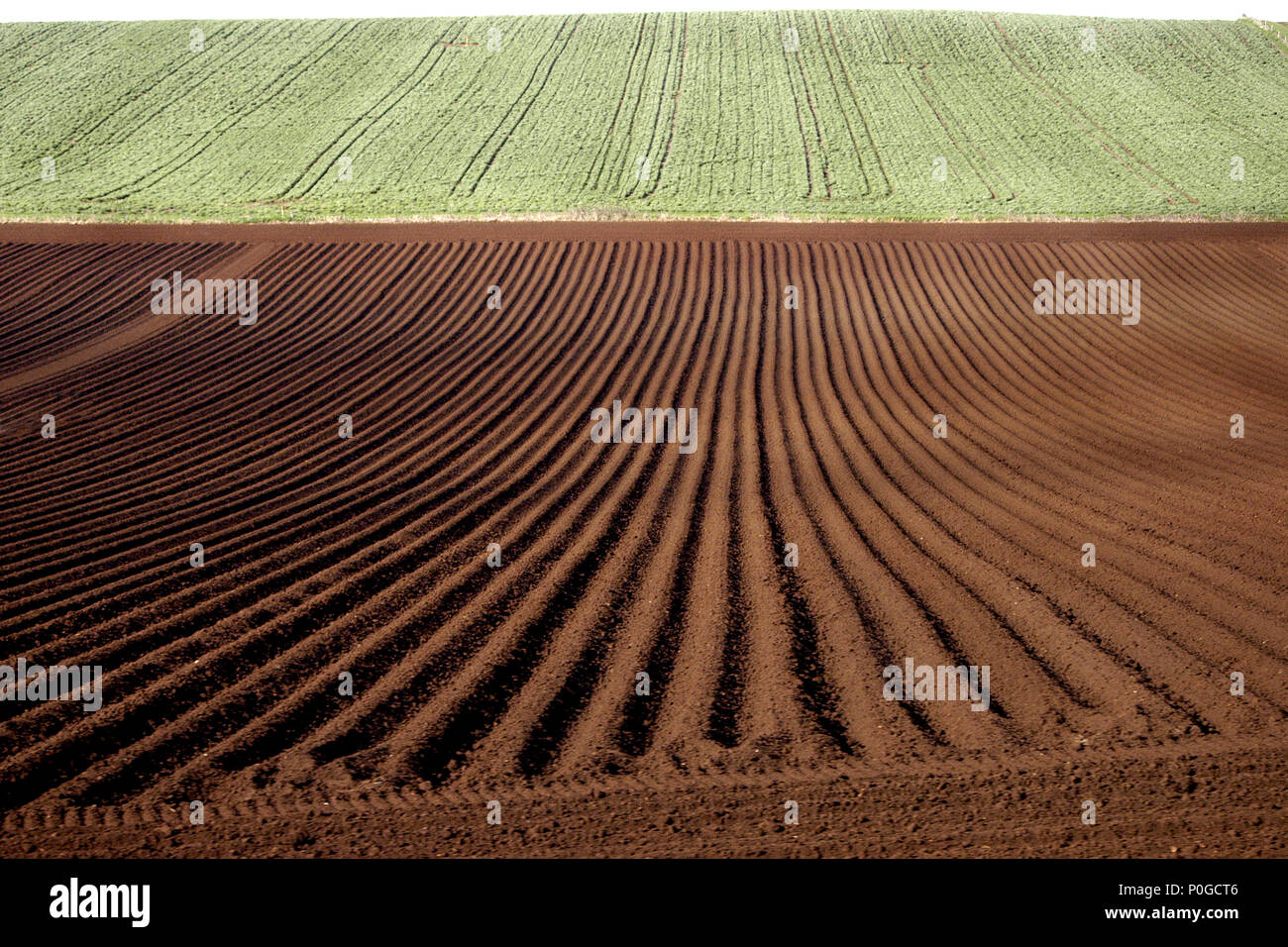Australia tasmania agriculture field hi-res stock photography and ...