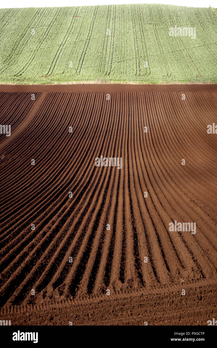 PLOWED FIELDS IN TASMANIA READY FOR CROP PLANTING, AUSTRALIA Stock ...