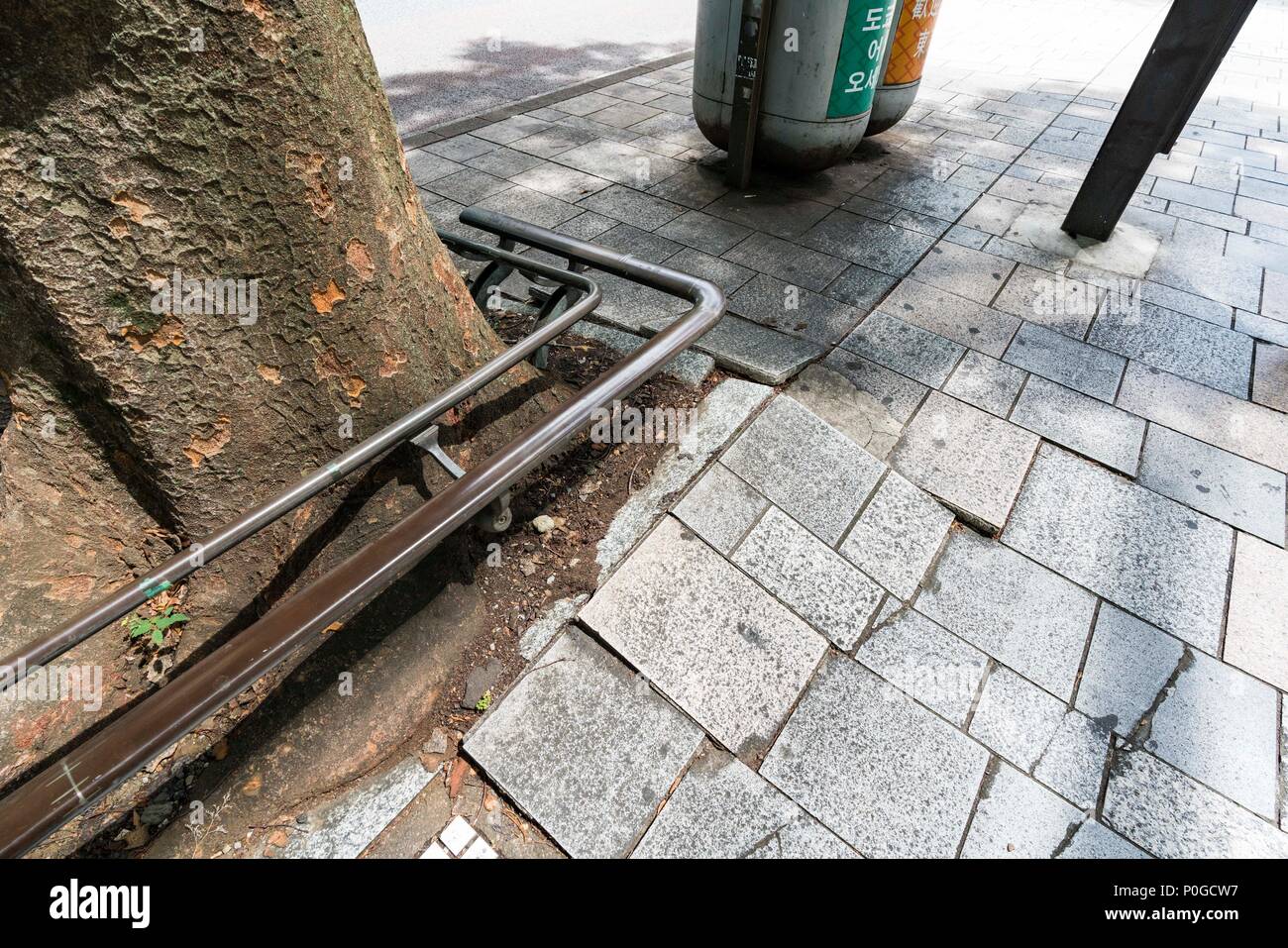 Root breaks pedestrian path, Omotesando, Minato-Ku, Tokyo, Japan Stock ...