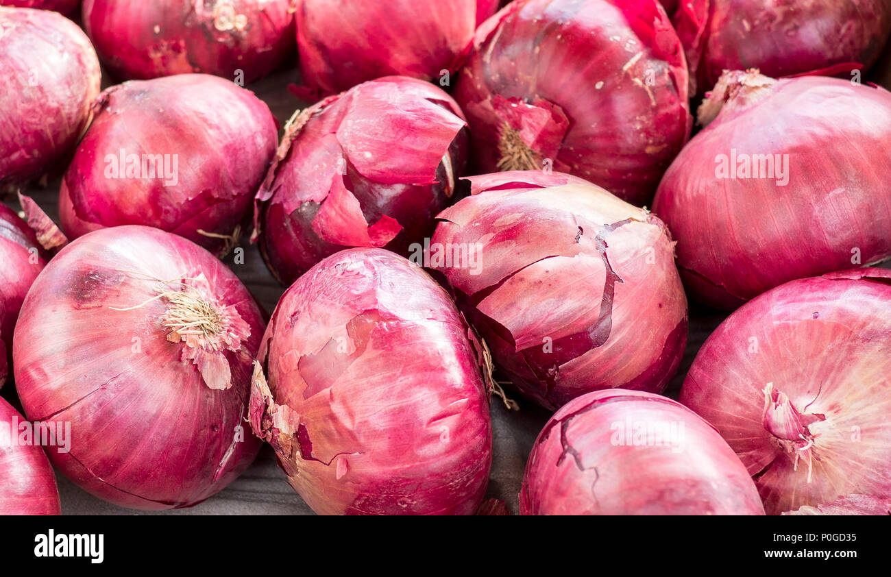 Just harvested onions hi-res stock photography and images - Alamy