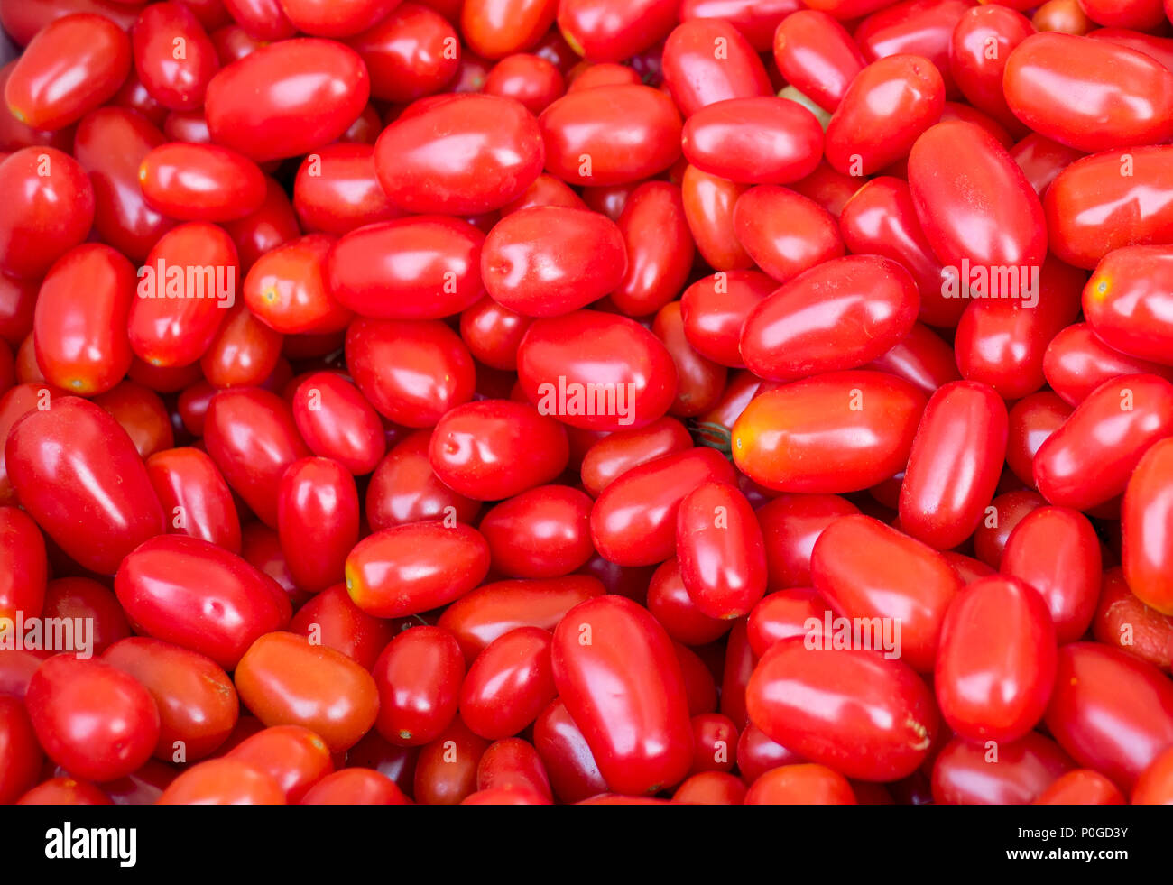 Lots of grape hi-res stock photography and images - Alamy