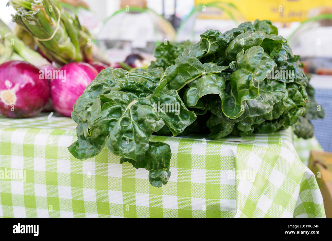 Swiss chard on a green picnic table cloth Stock Photo - Alamy