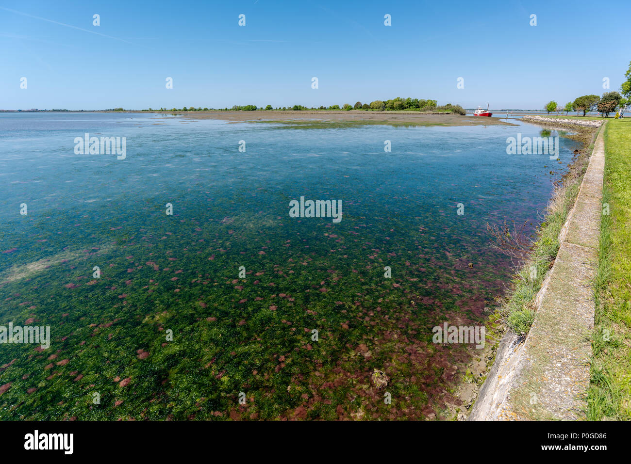 Wonders of the Grado lagoon. Italy Stock Photo - Alamy