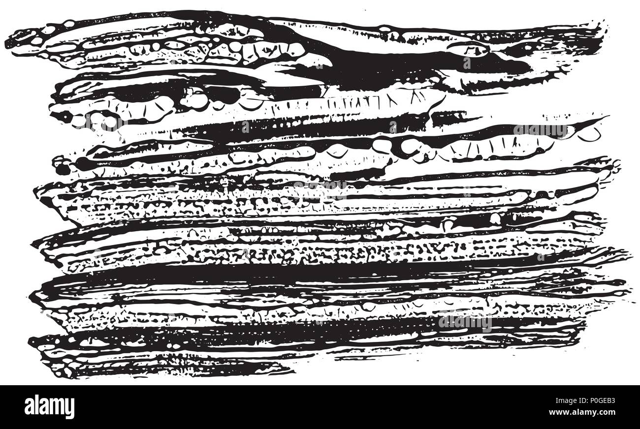 Ink vector sponge background. Vector illustration. Grunge hand drawn ...