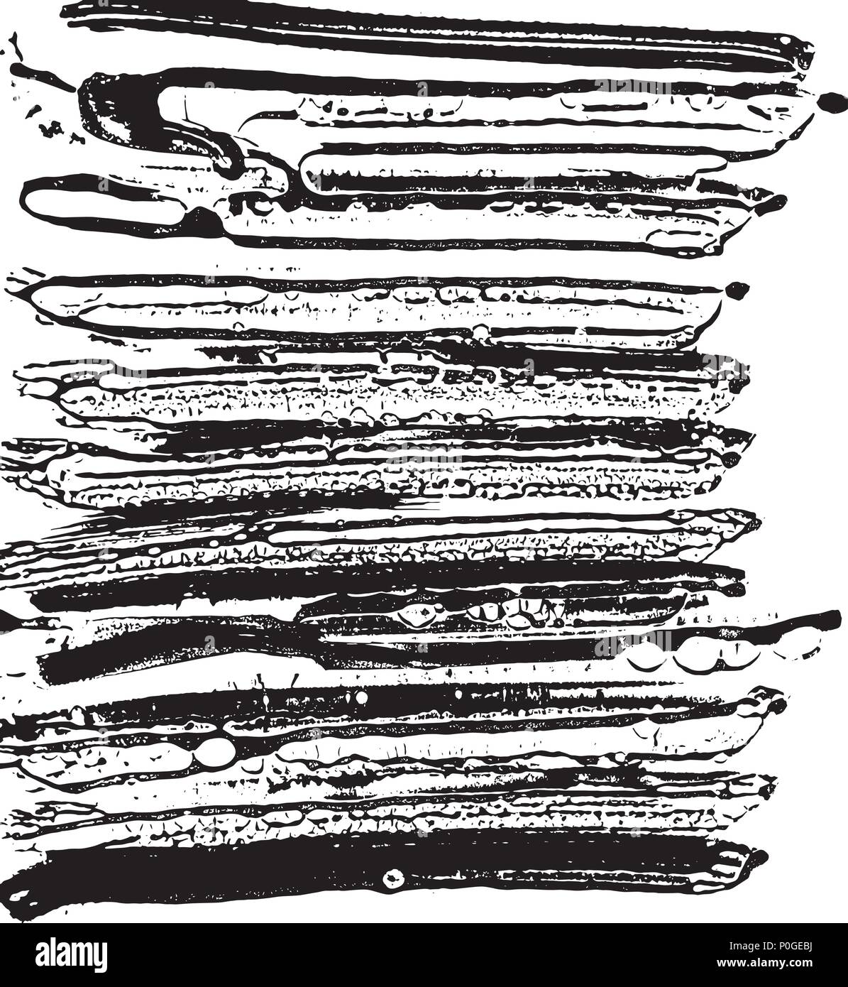 Ink vector sponge background. Vector illustration. Grunge hand drawn ...