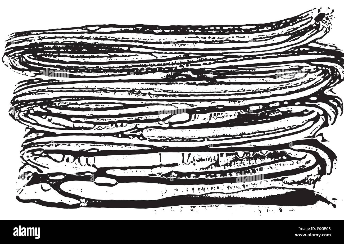 Ink vector sponge background. Vector illustration. Grunge hand drawn ...